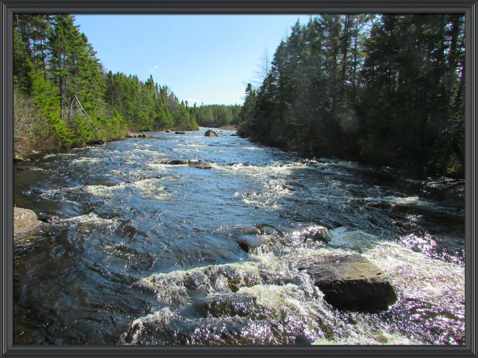 Salmon Hole River, New Harbour, NL | Scrolller