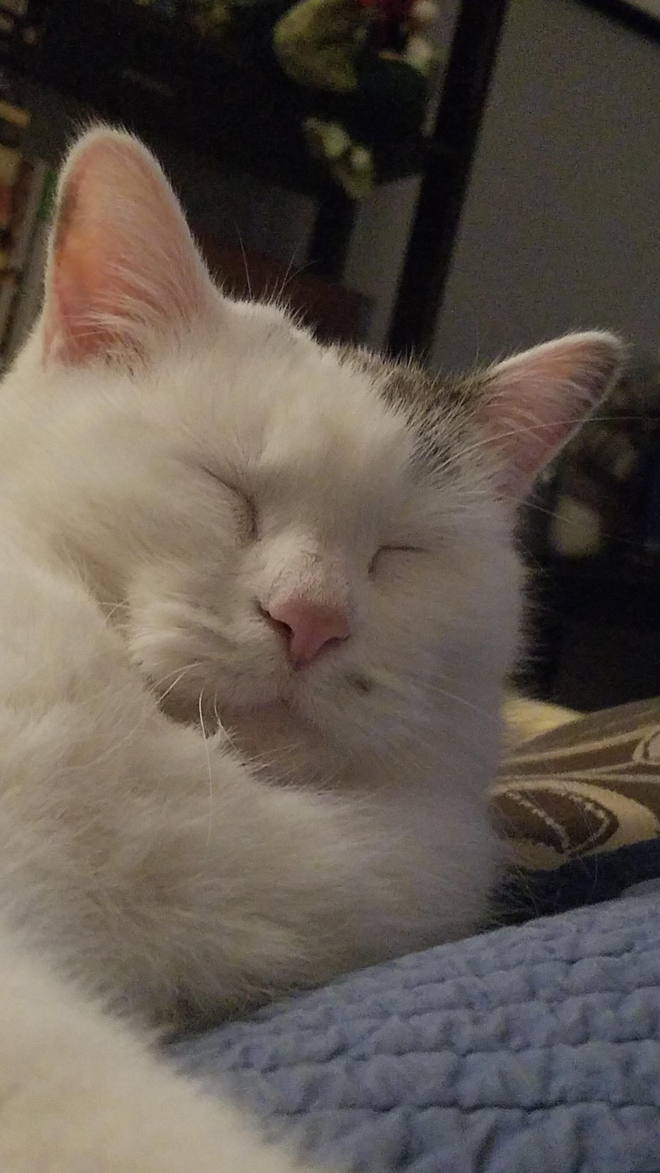 Salty peanuts 🥜 | Scrolller