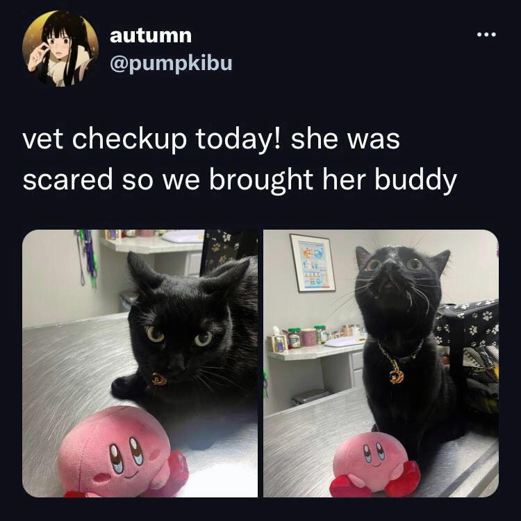 Saw this on r/blessedimages, seemed appropriate to share | Scrolller