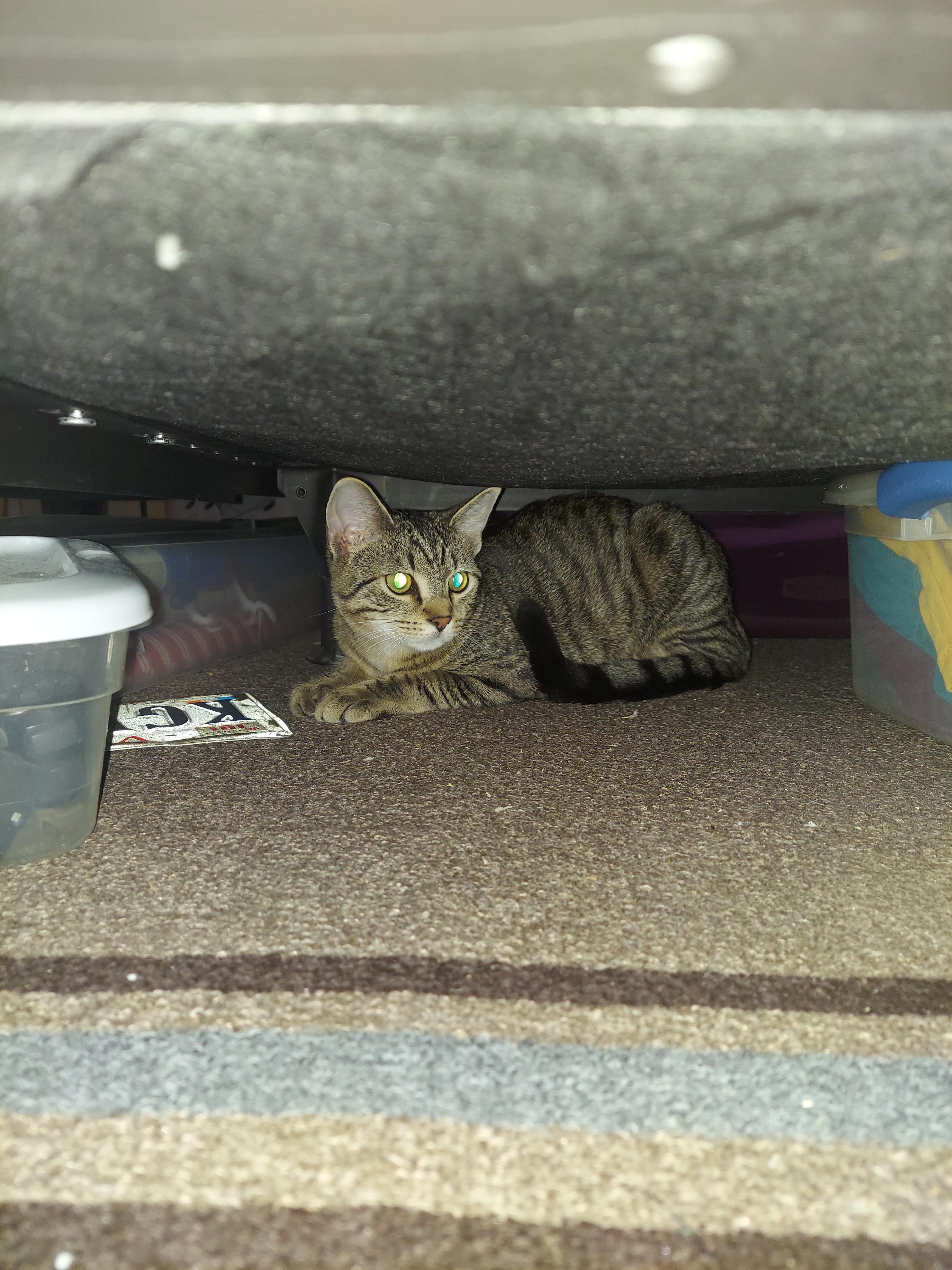 Set phaser to stunning | Scrolller