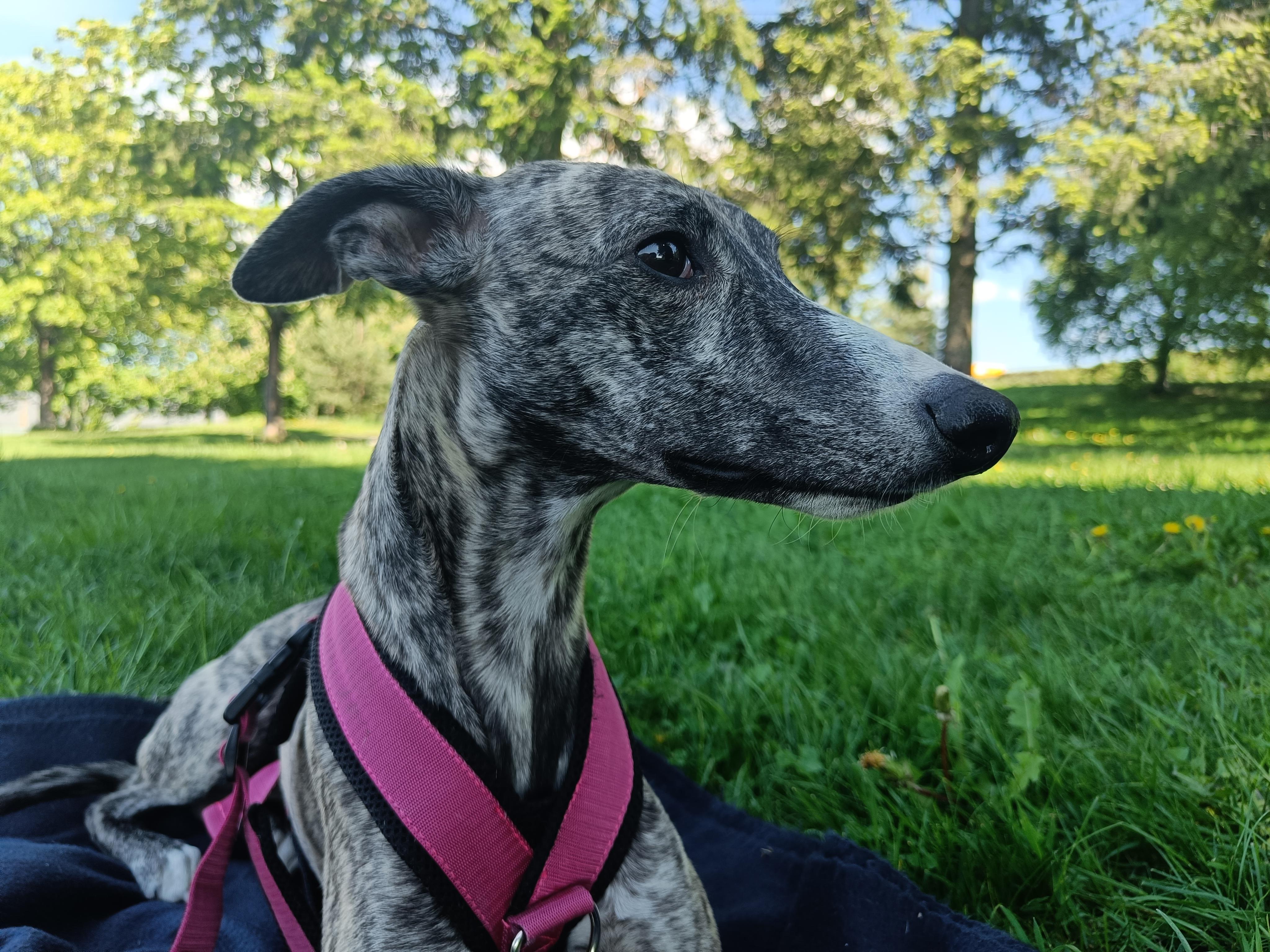 Shade is essential now that summer has arrived! | Scrolller