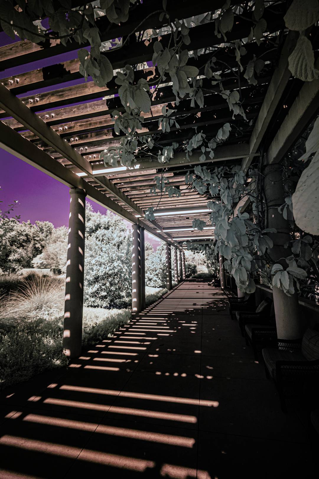 Shadow way | Scrolller