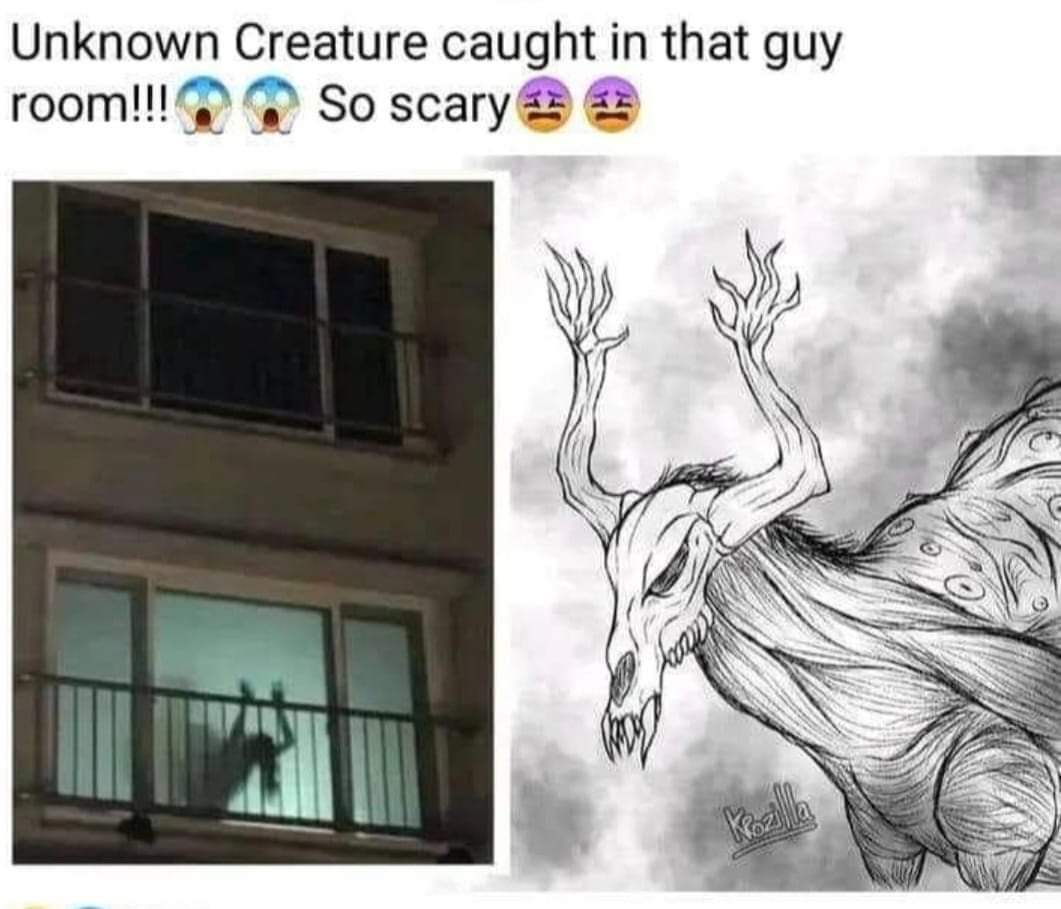 Shadowplay | Scrolller