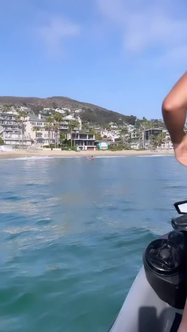 Discover more like SwimsuitBooty: Shake it and Related Content | Scrolller