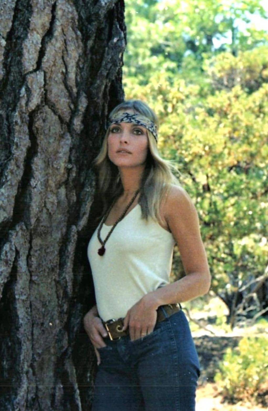 Sharon Tate | Scrolller