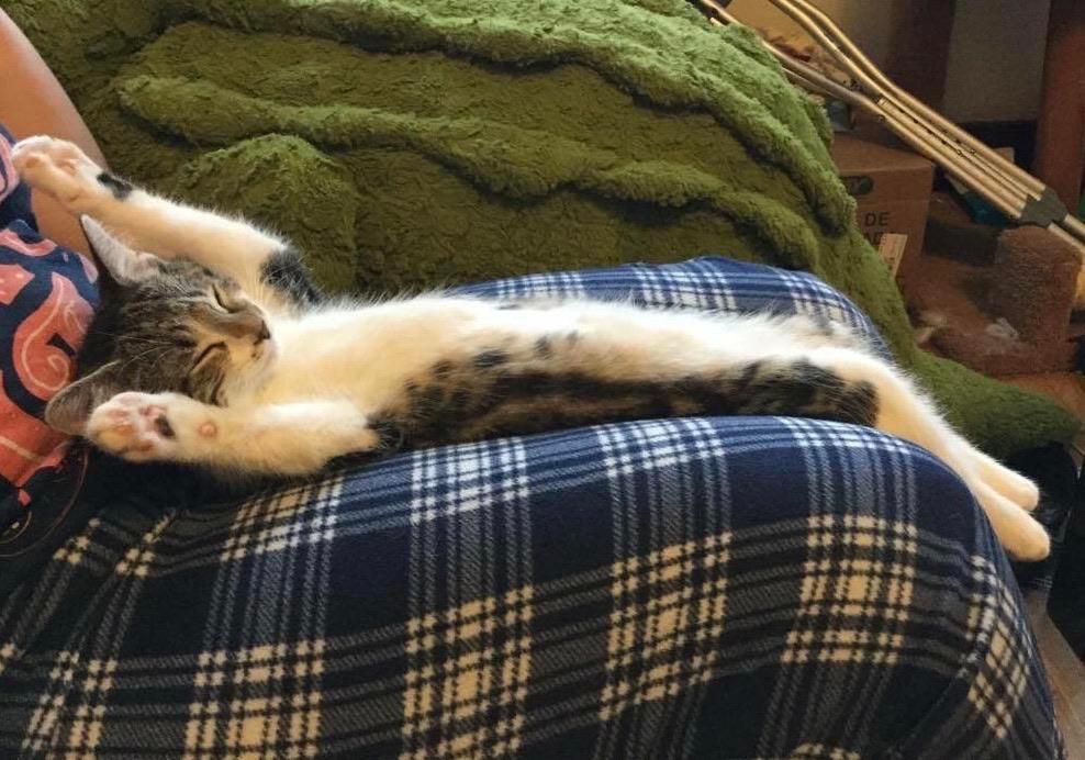 She comfy and give zero f*cks | Scrolller