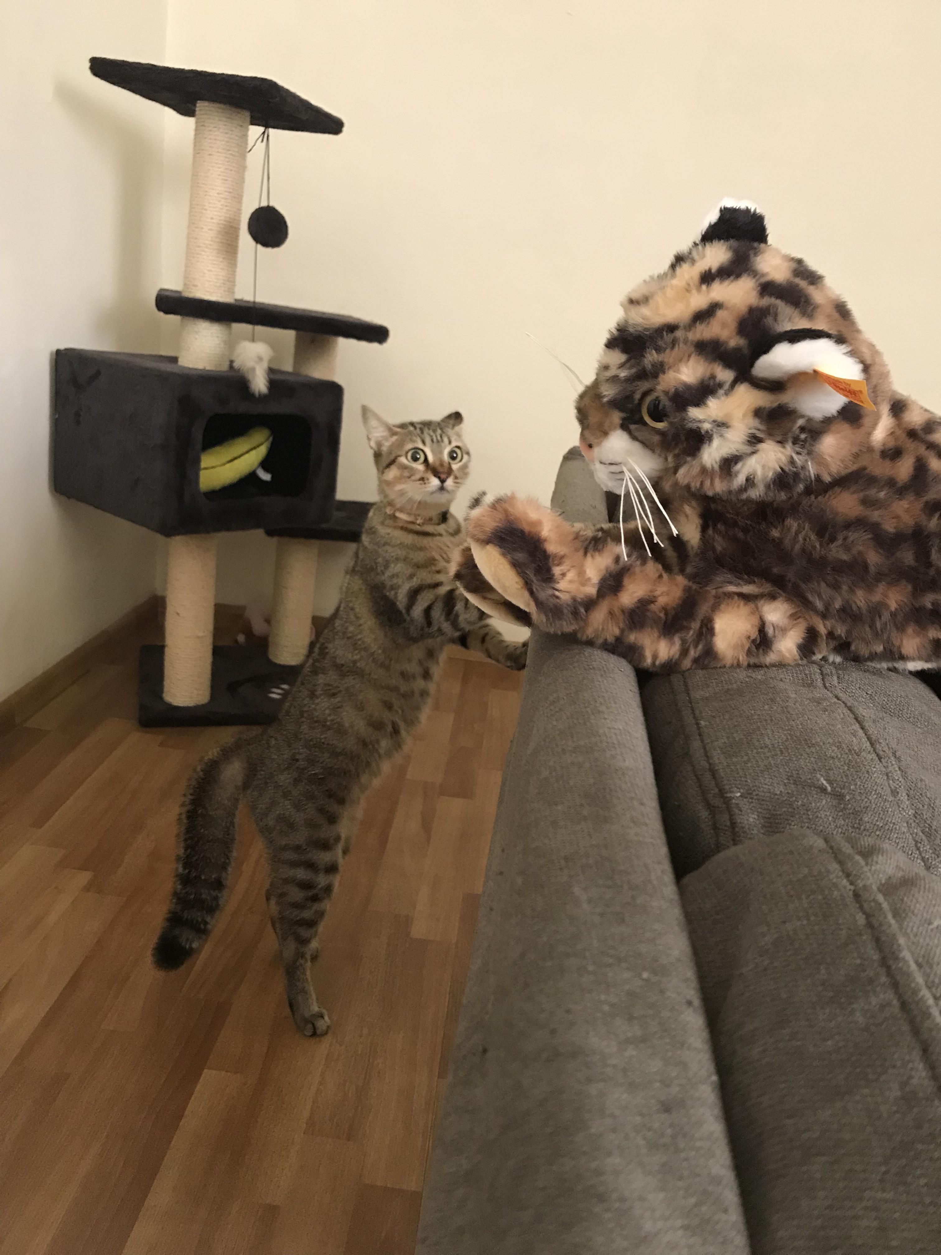 She does not like her lookalike | Scrolller