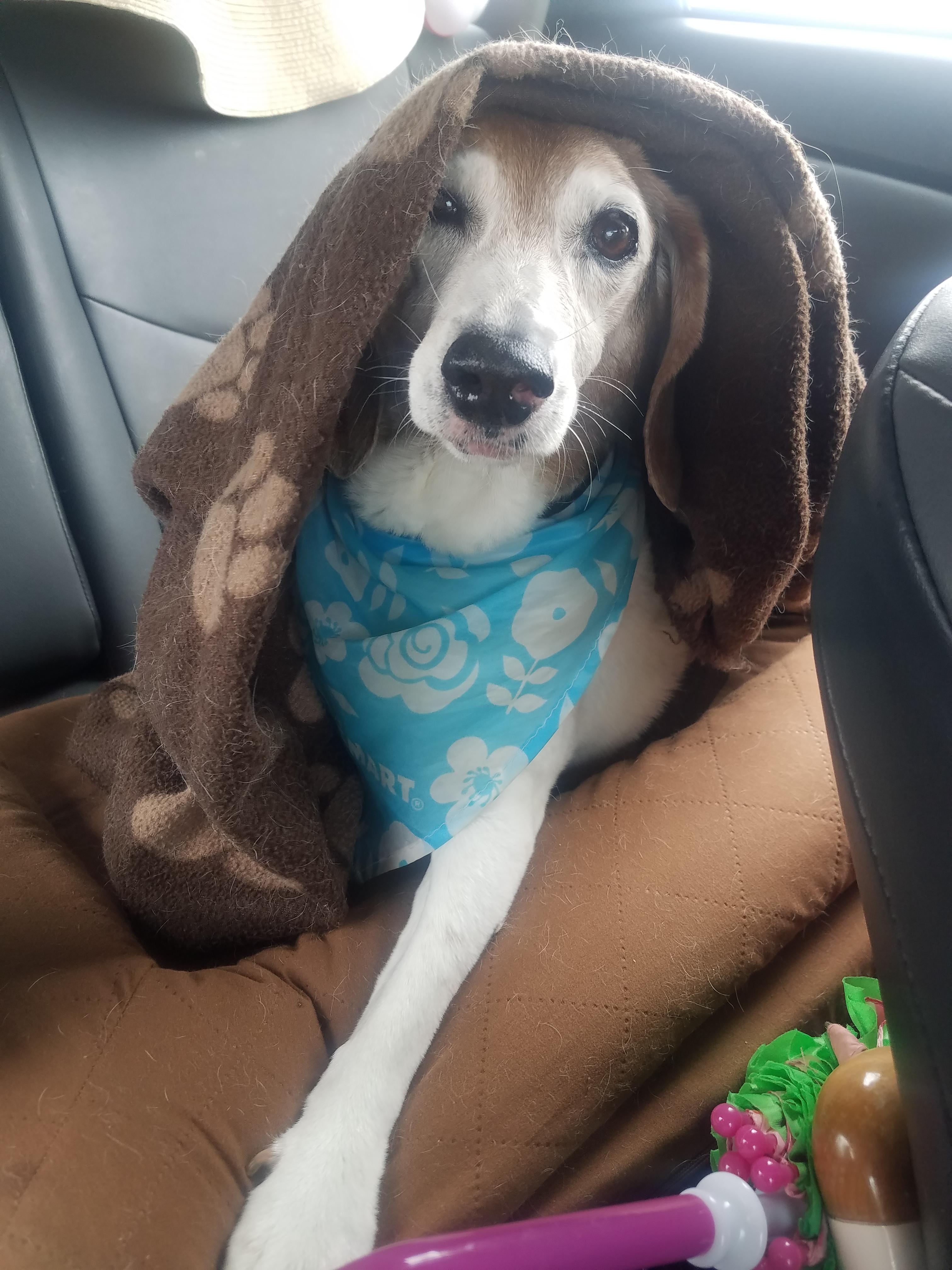 She got told that winter is on it's way and to prepare the harvest | Scrolller