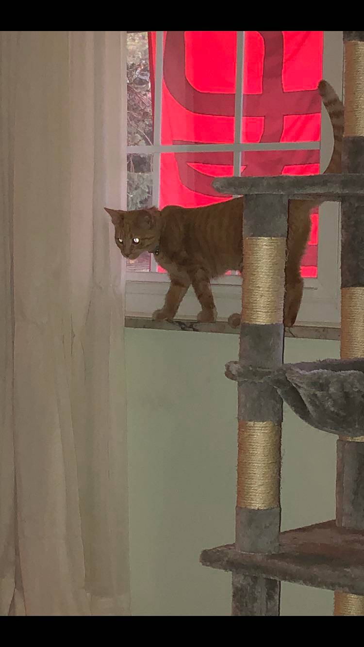 She has the high ground | Scrolller