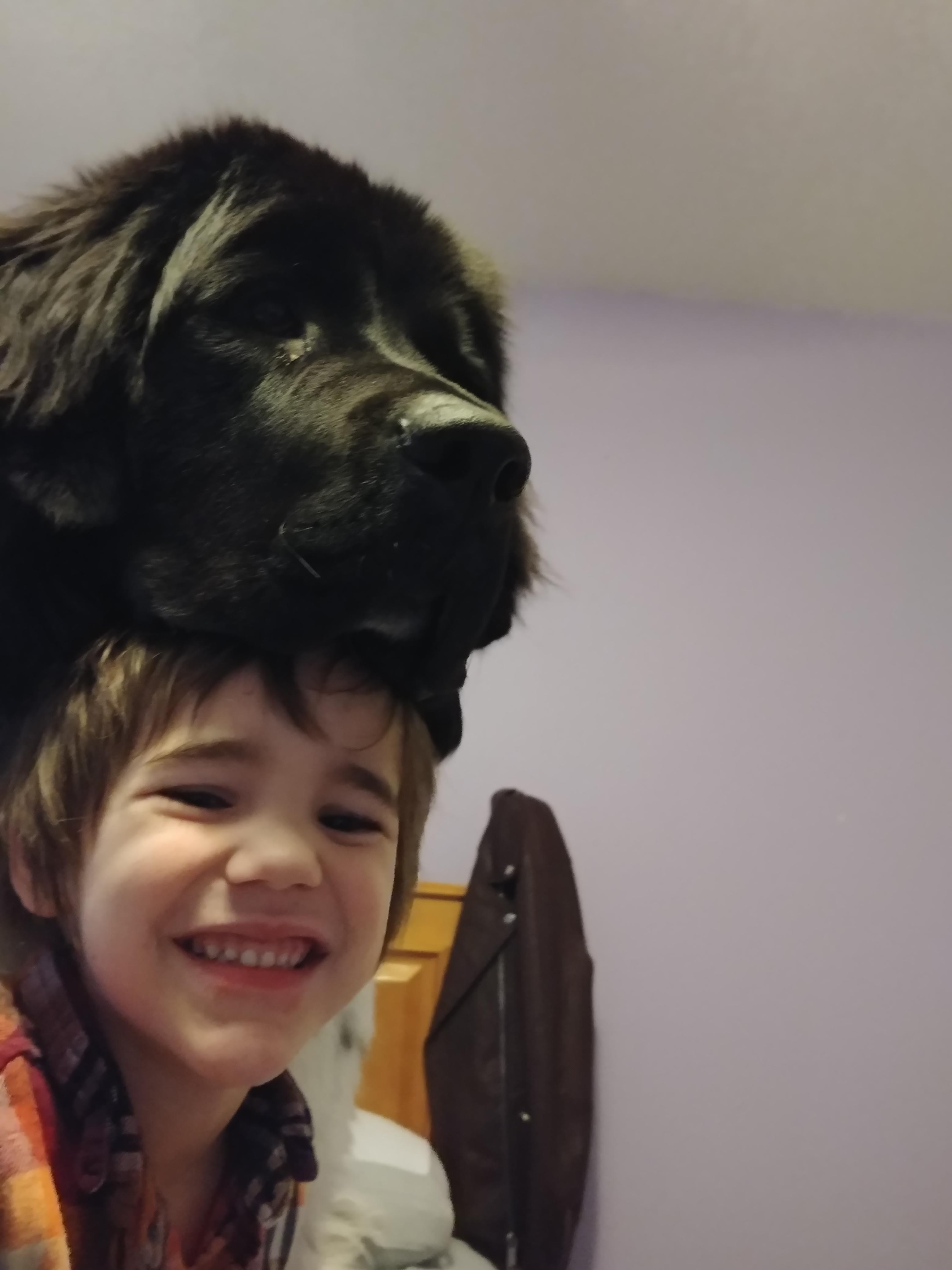 She knows she's to big to lay on them so she settles for resting her head on them | Scrolller