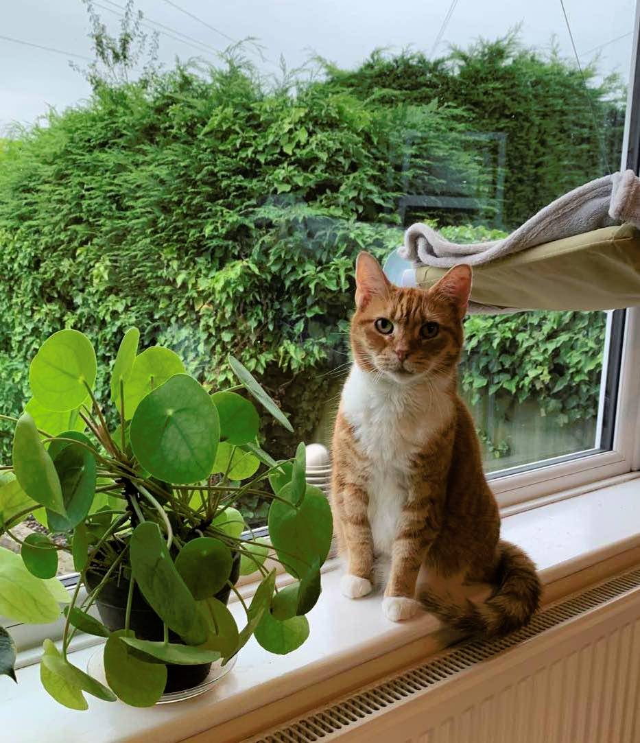 She loves her window sill | Scrolller