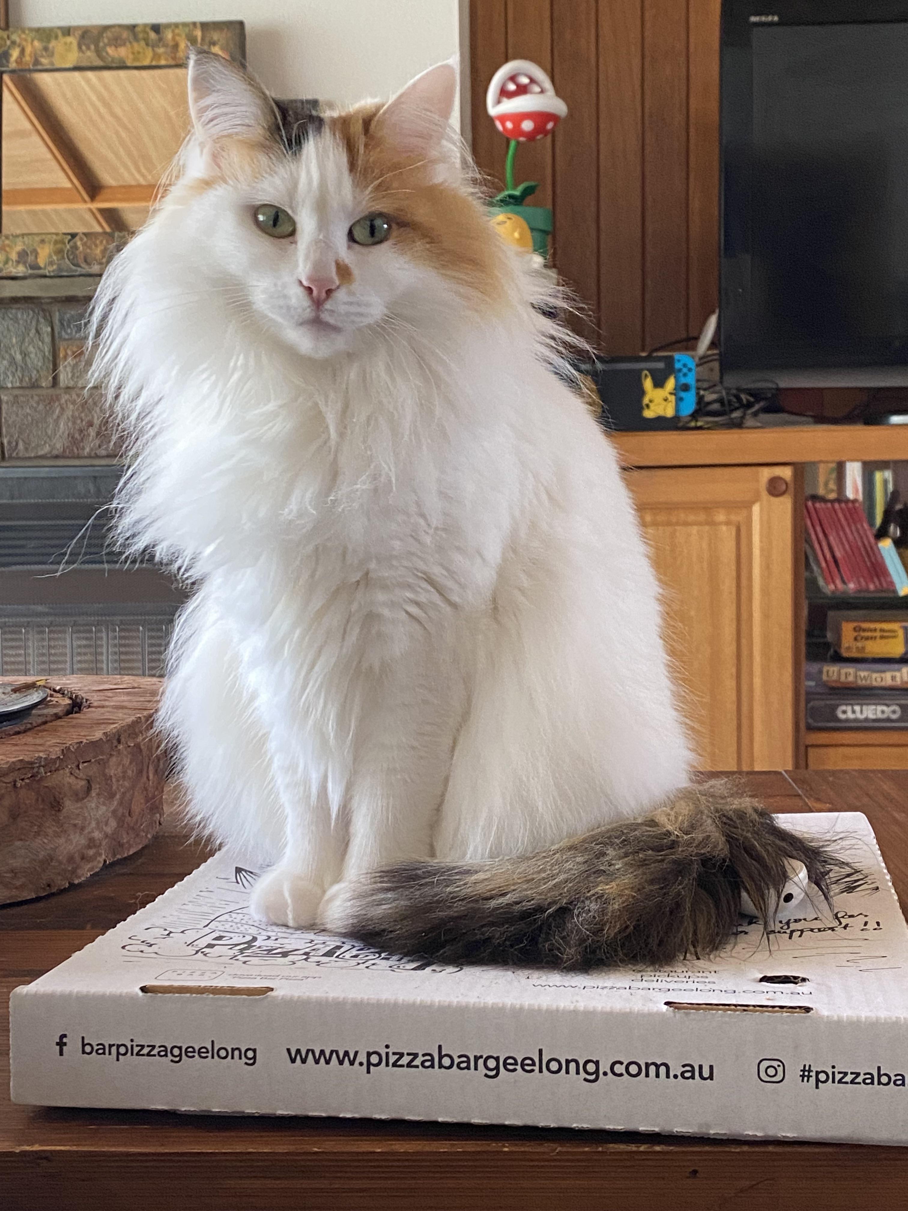 She reserves every pizza box | Scrolller