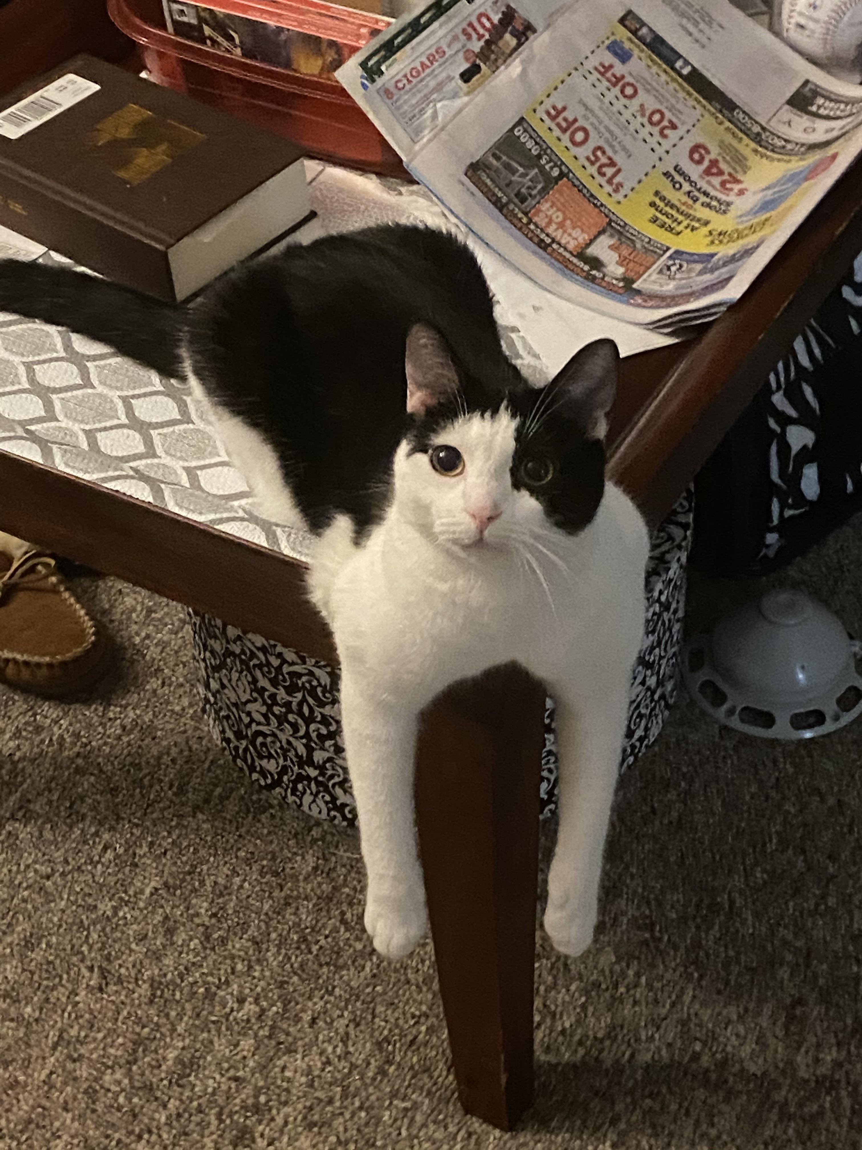 She’s just hanging around | Scrolller