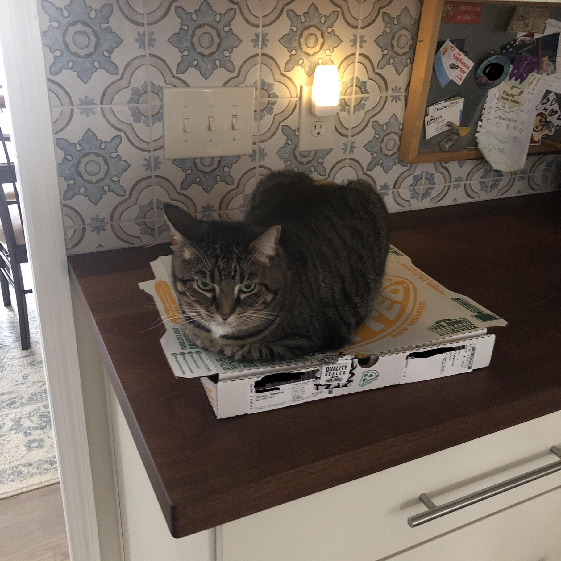 She’s very dedicated to her boxes | Scrolller