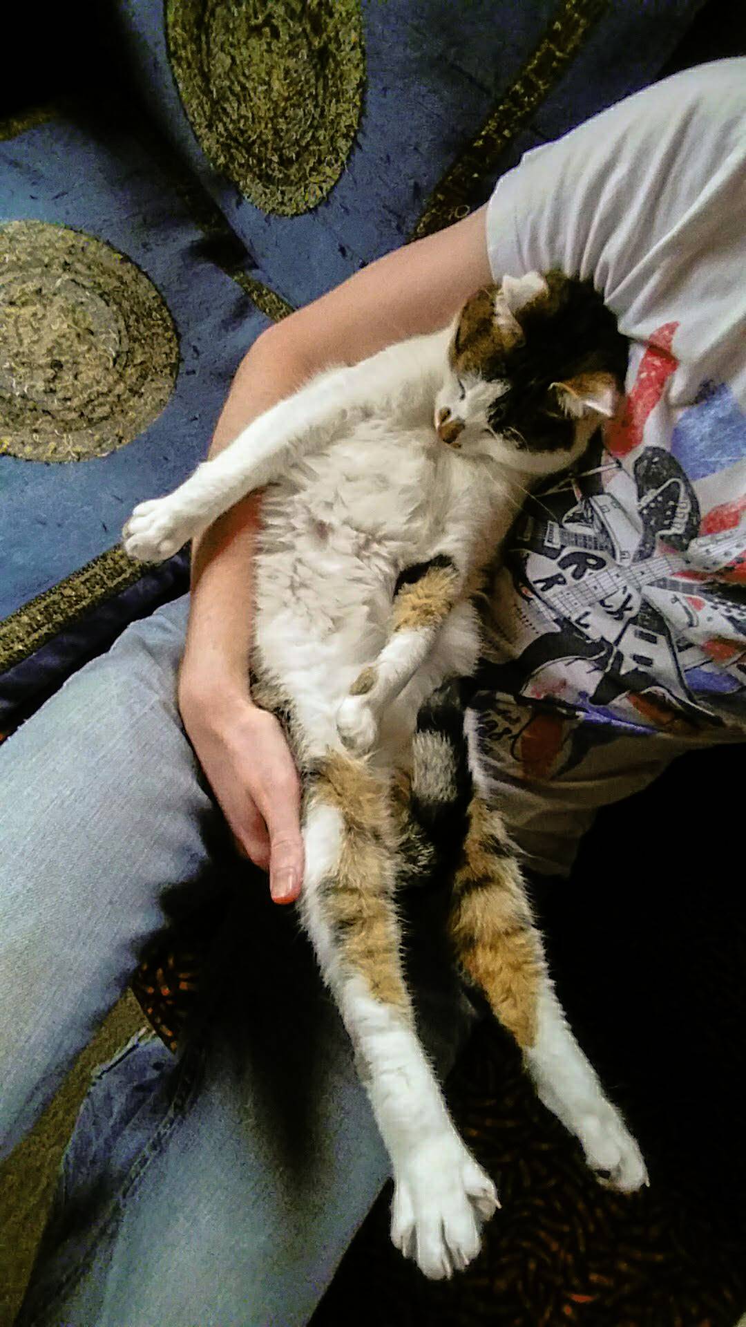 She was sleeping like this | Scrolller