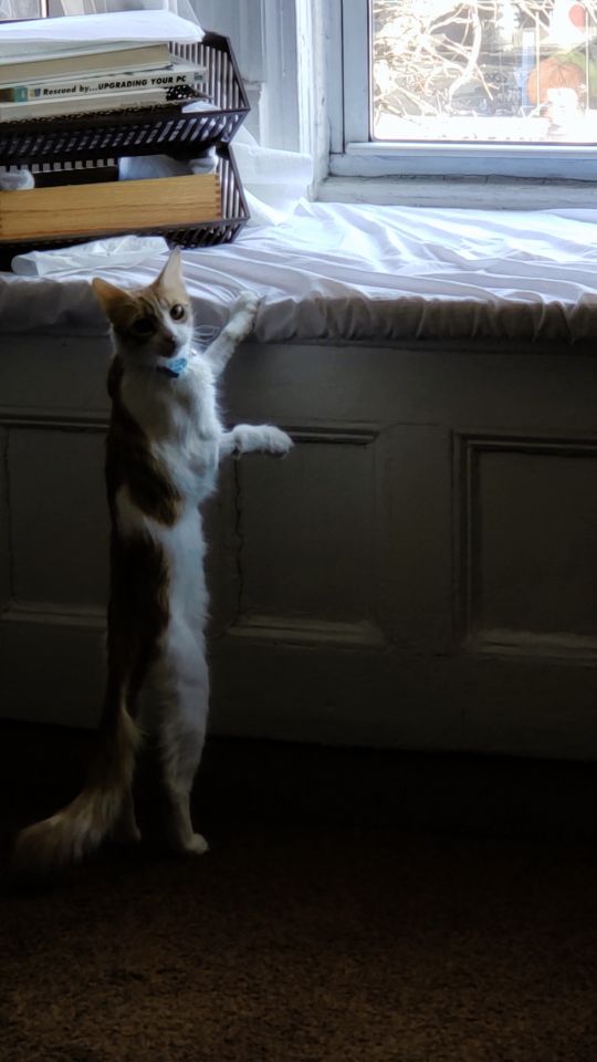 She's so tall! | Scrolller