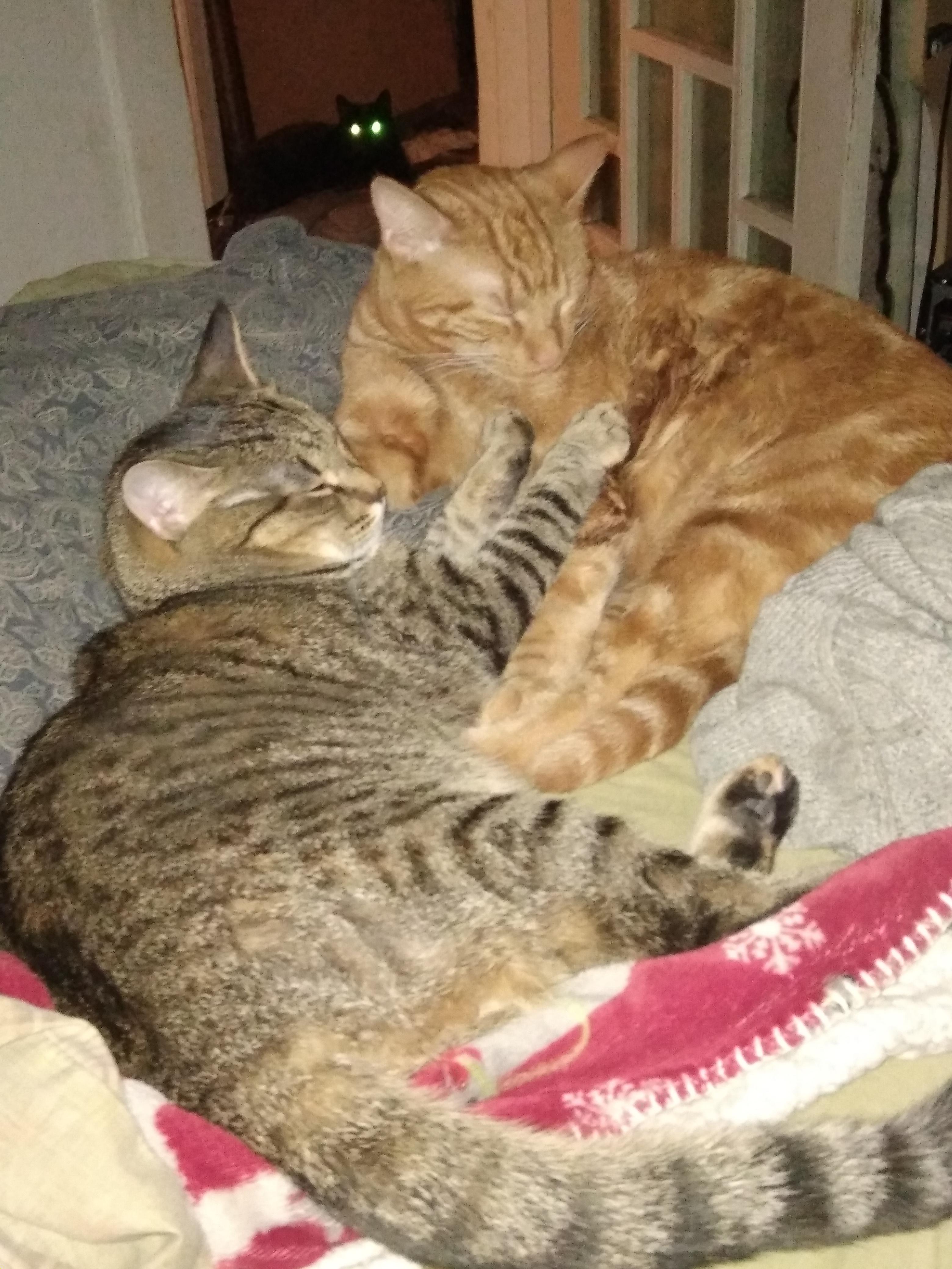 she's the jealous type... | Scrolller