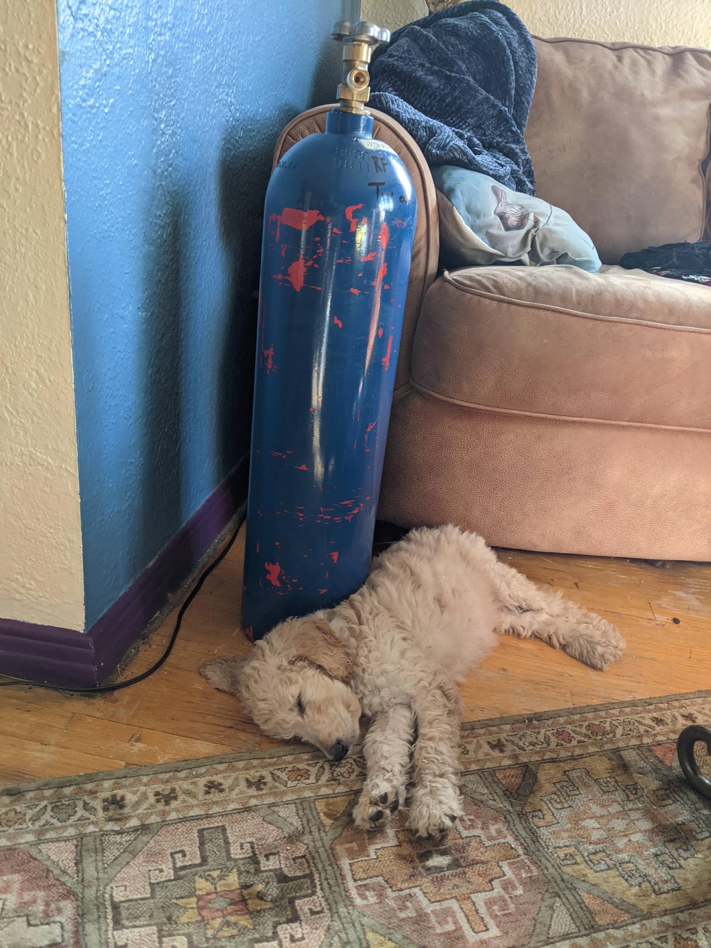 Shiny did a little too much nitrous.... | Scrolller