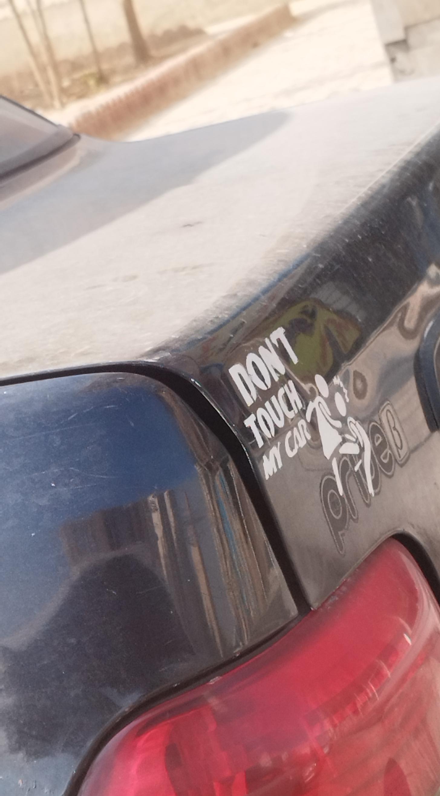 Should I touch it porously 🫤? | Scrolller