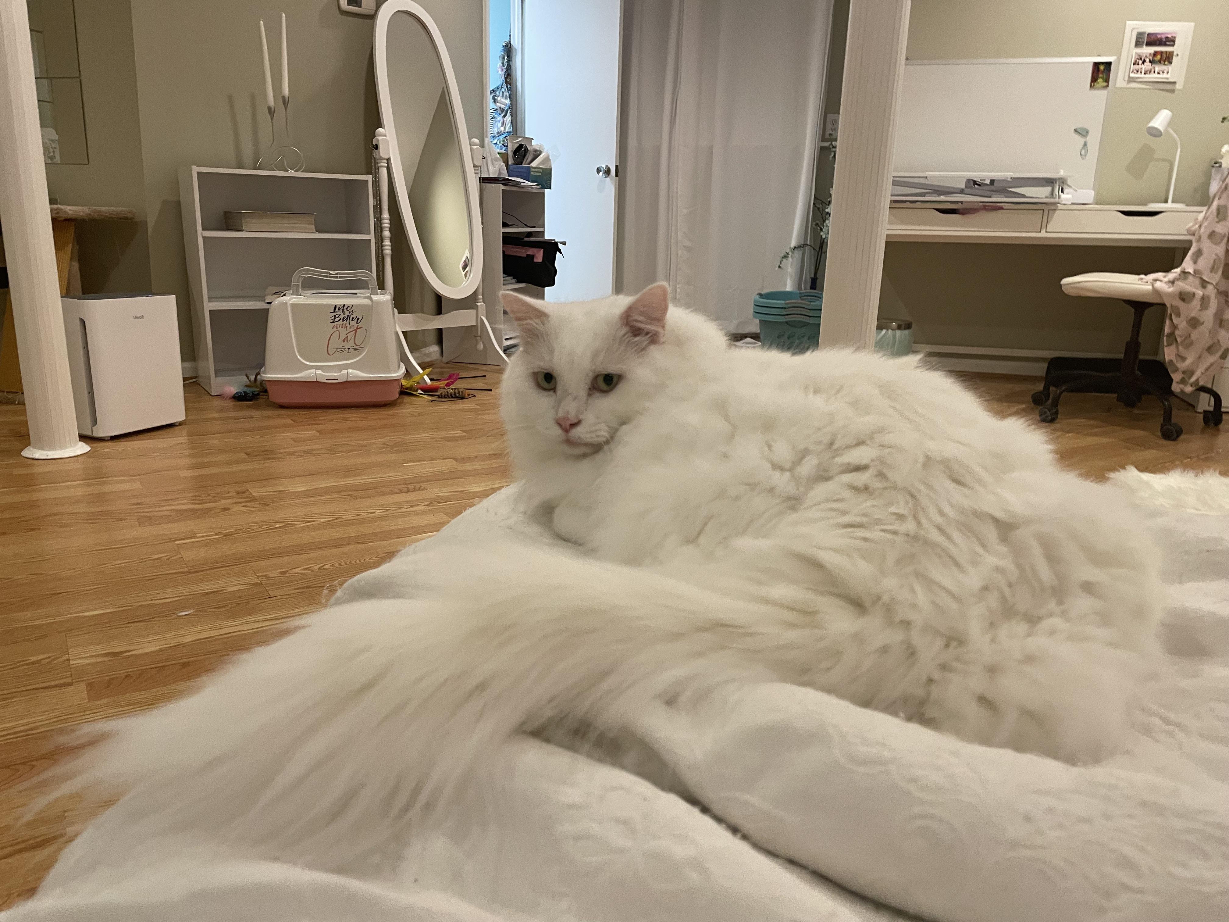 Showing off his bottlebrush tail | Scrolller