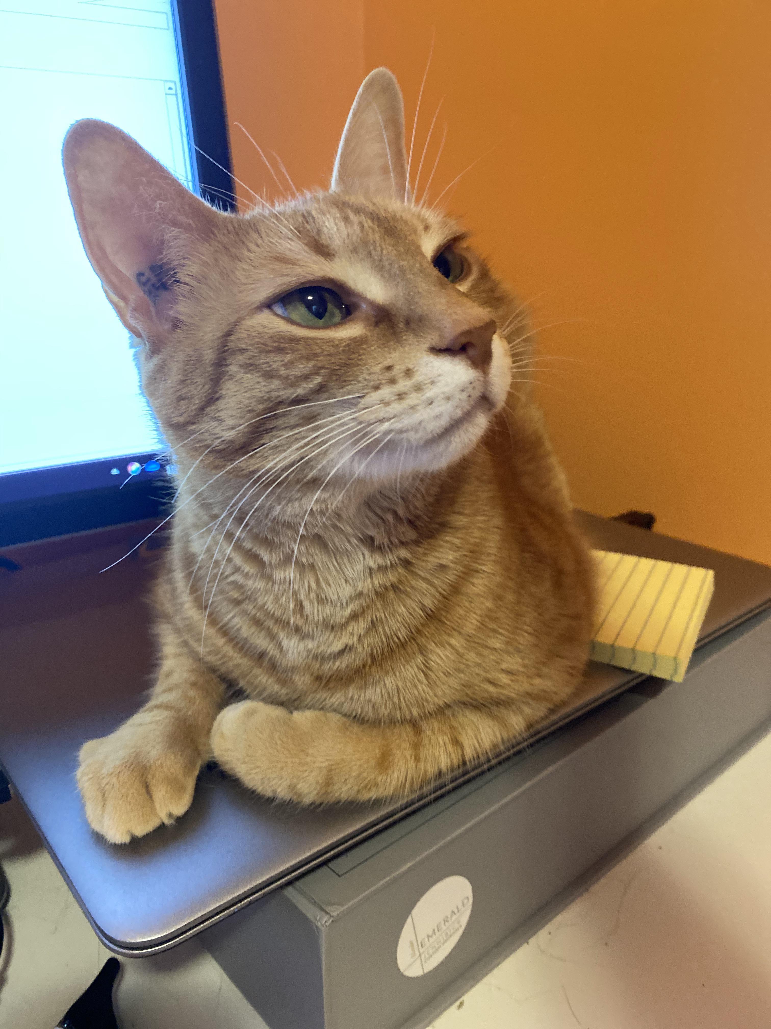 Showing off his peanut pose | Scrolller