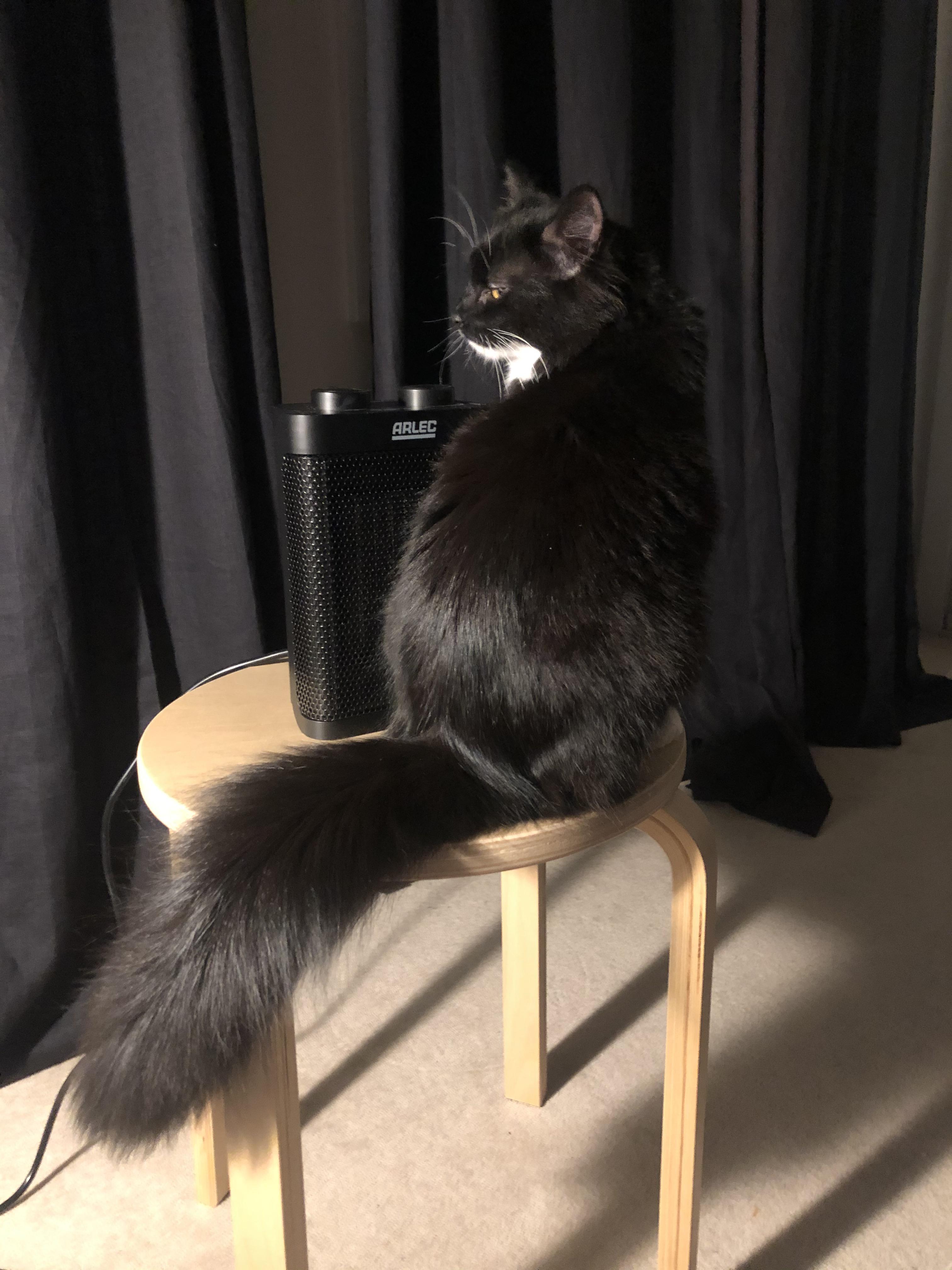 Showing off that bottlebrush | Scrolller