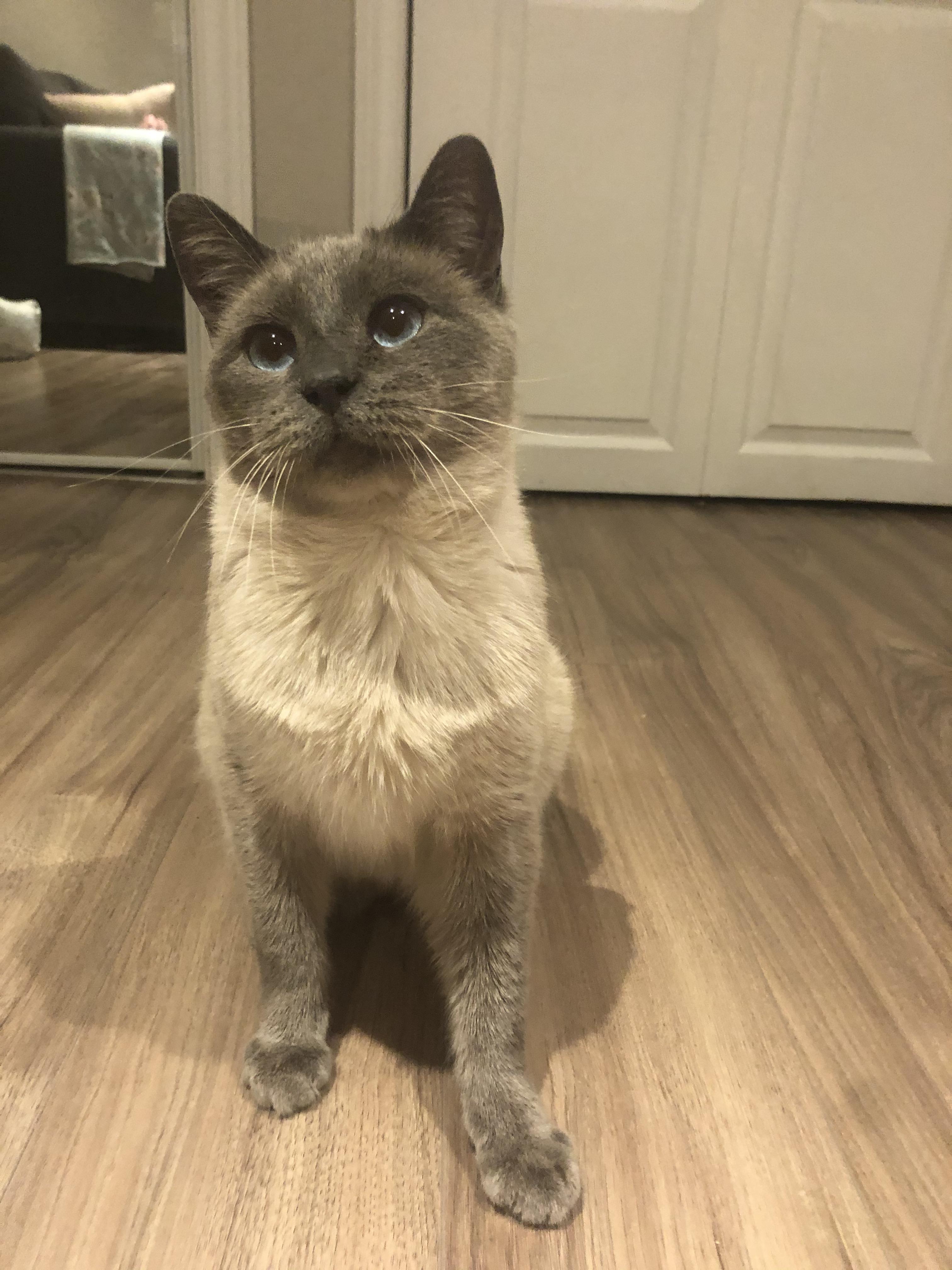 Simon giving us his best peanut angle. | Scrolller