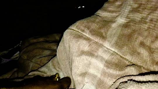 Sleepover Surprise | Scrolller