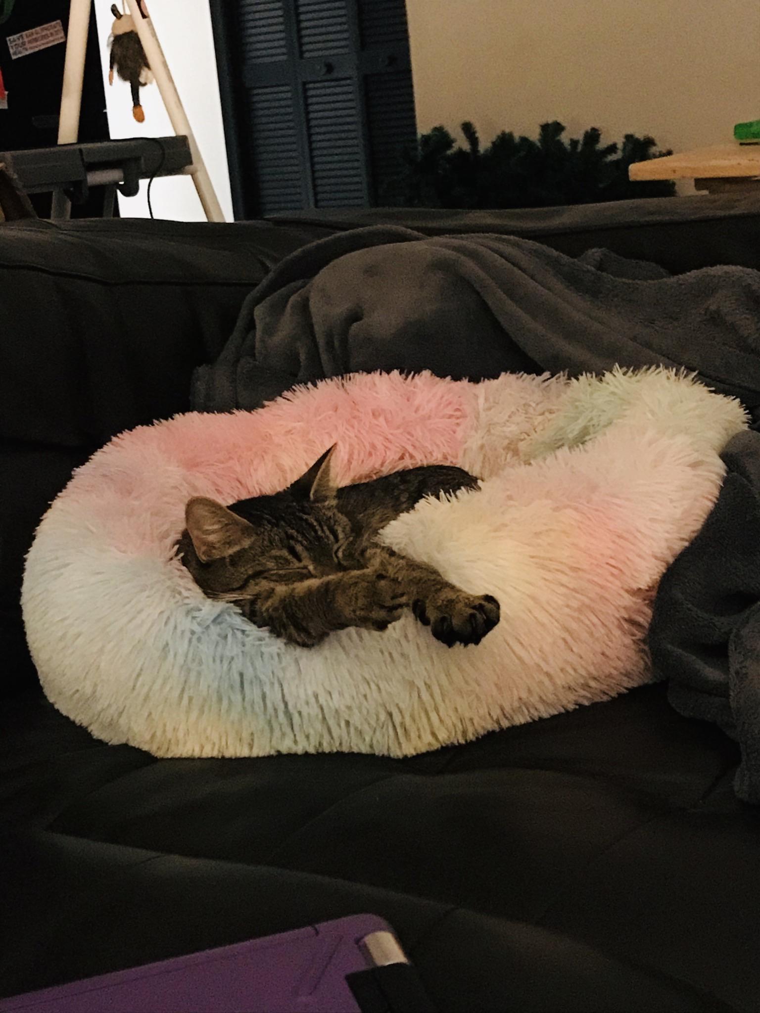 Sleepy SuperGirl | Scrolller