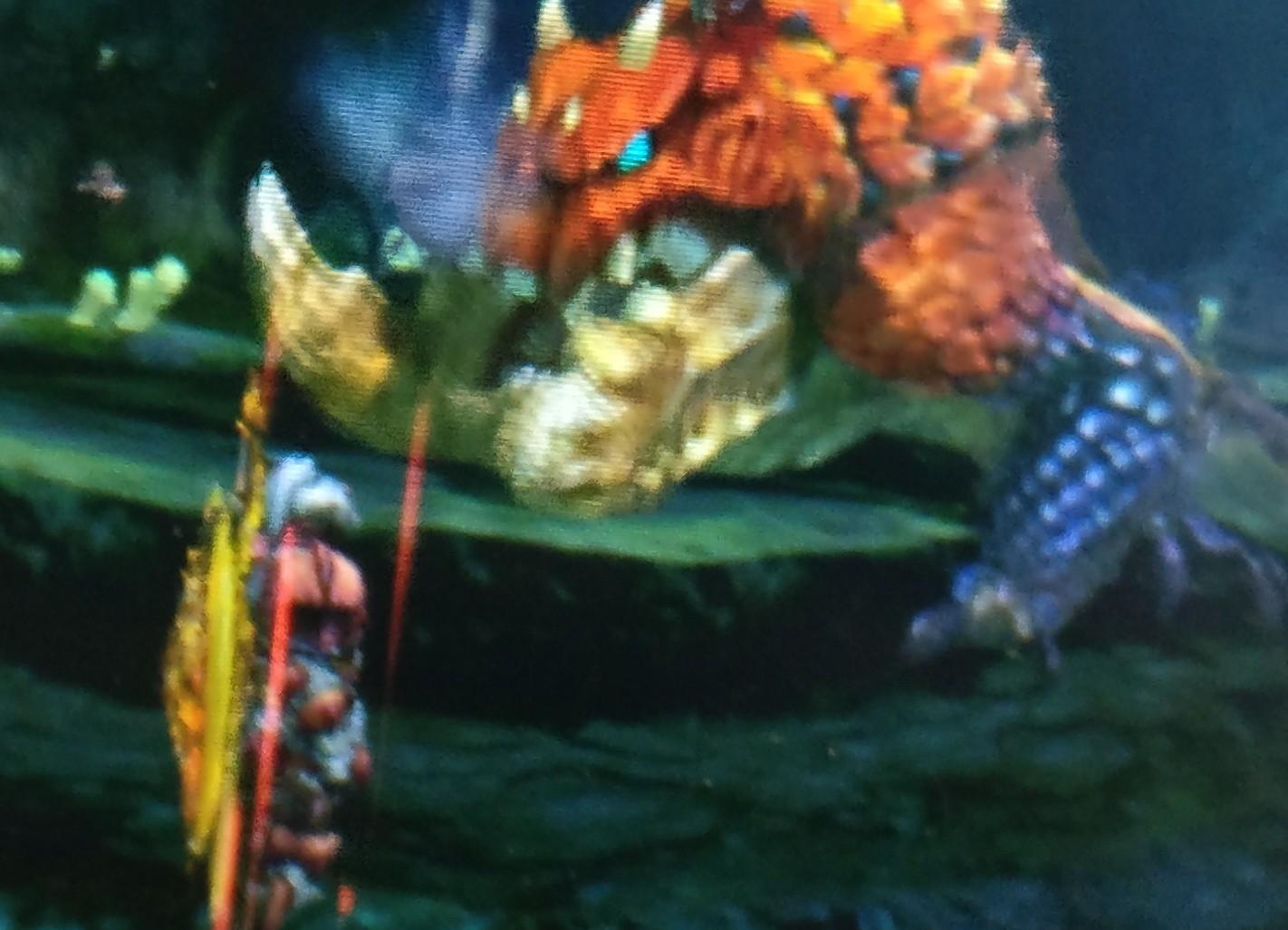 Smallest tetsu seen! | Scrolller