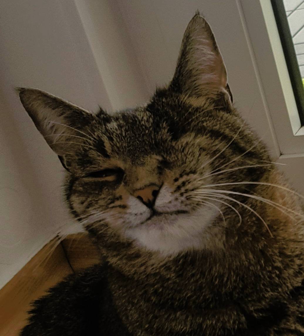 Smug Scrolller