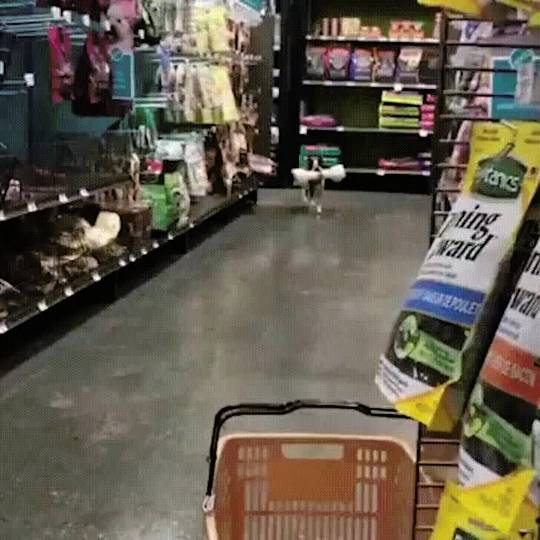 Snack Attack! 🤤 | Scrolller