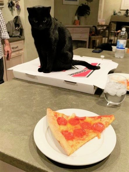 So delicious | Scrolller