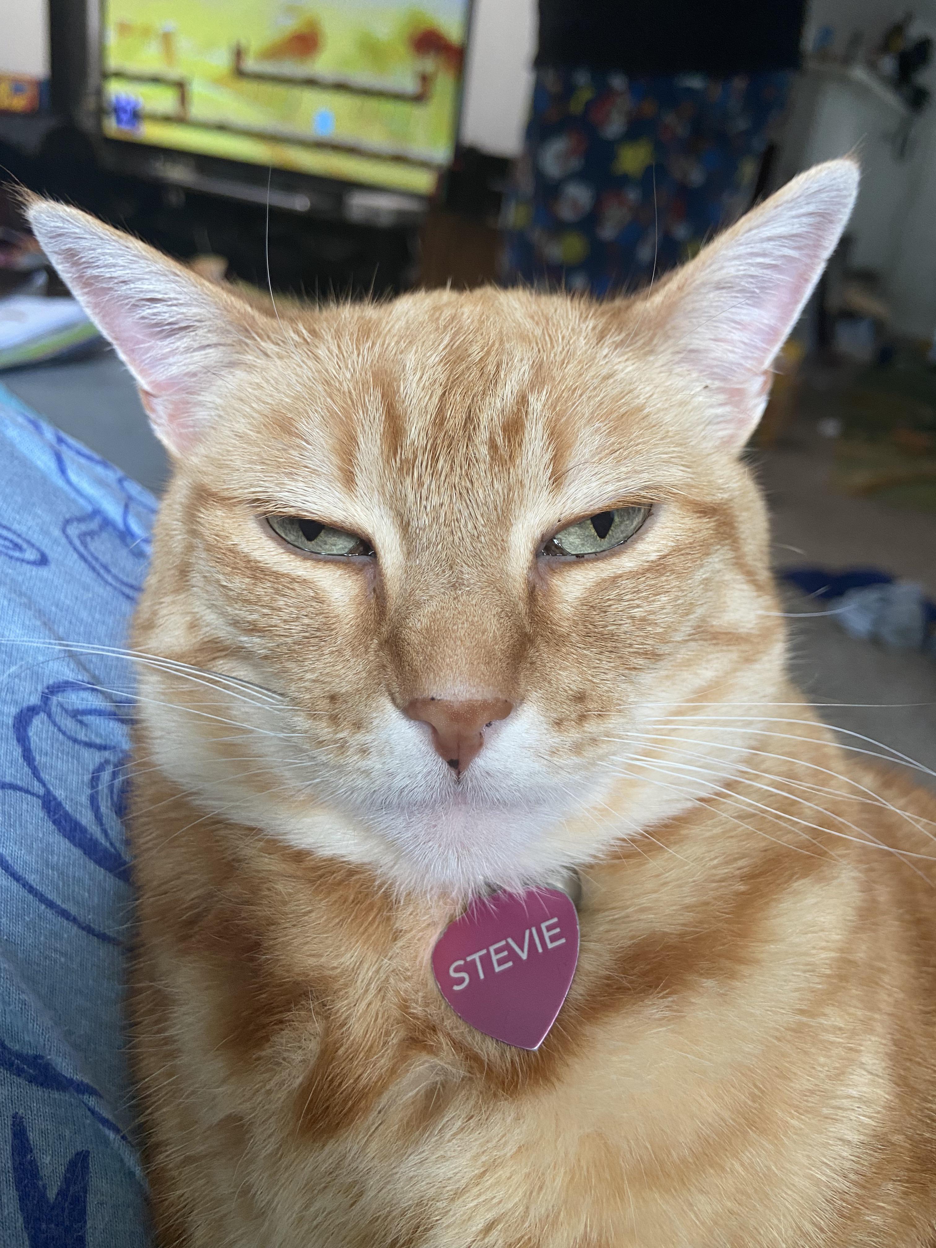 So regal. So empty. | Scrolller