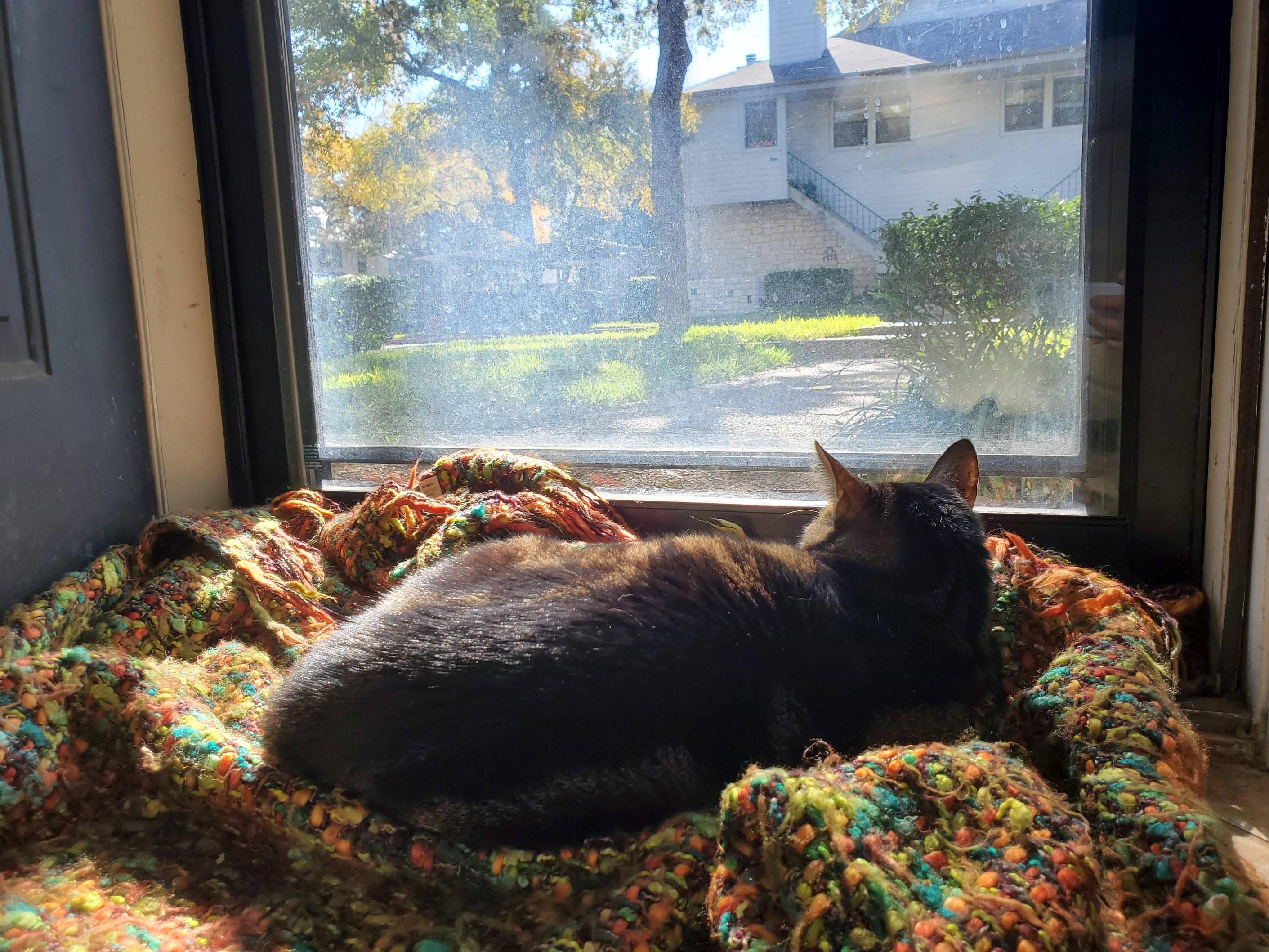 Soaking in the rays | Scrolller