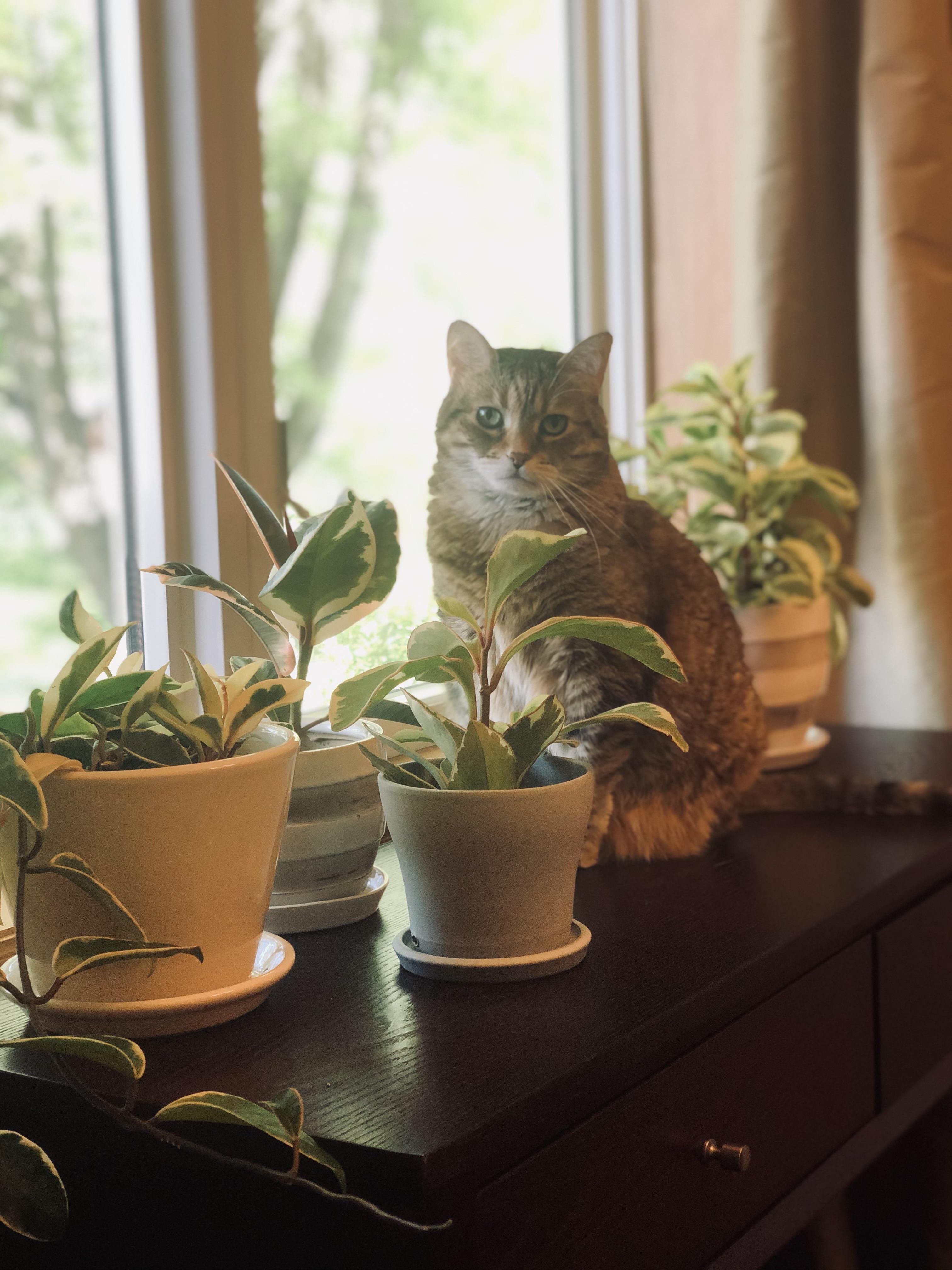 Soaking up the sun together | Scrolller