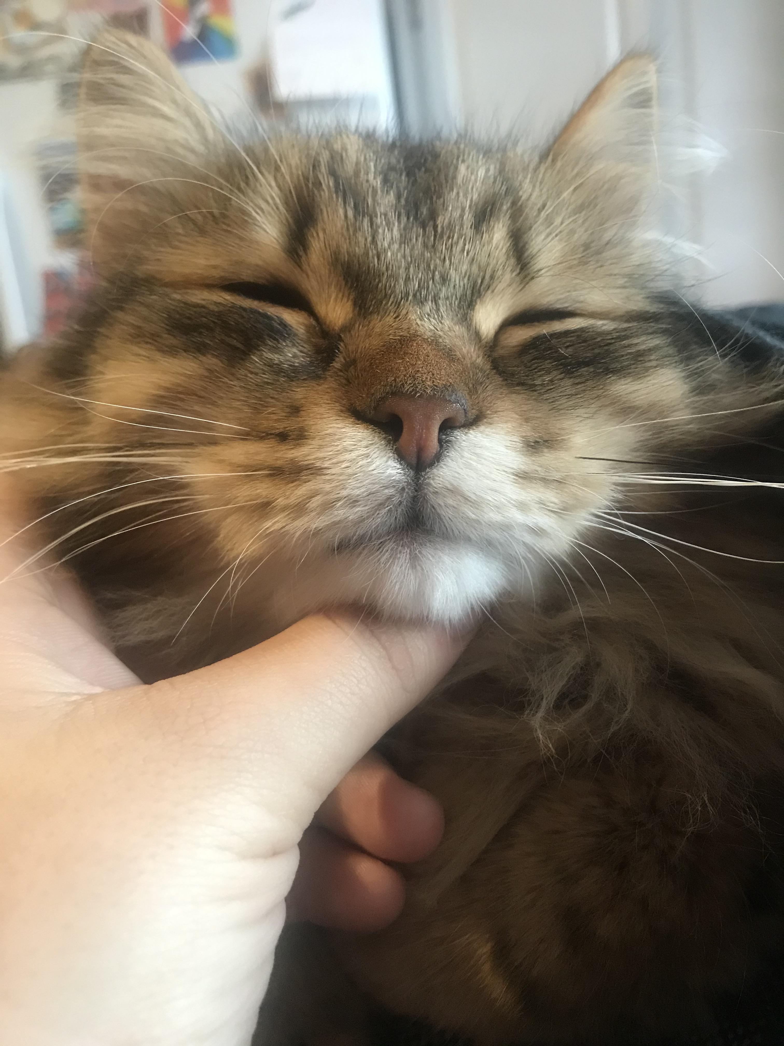 Soft peanuts | Scrolller