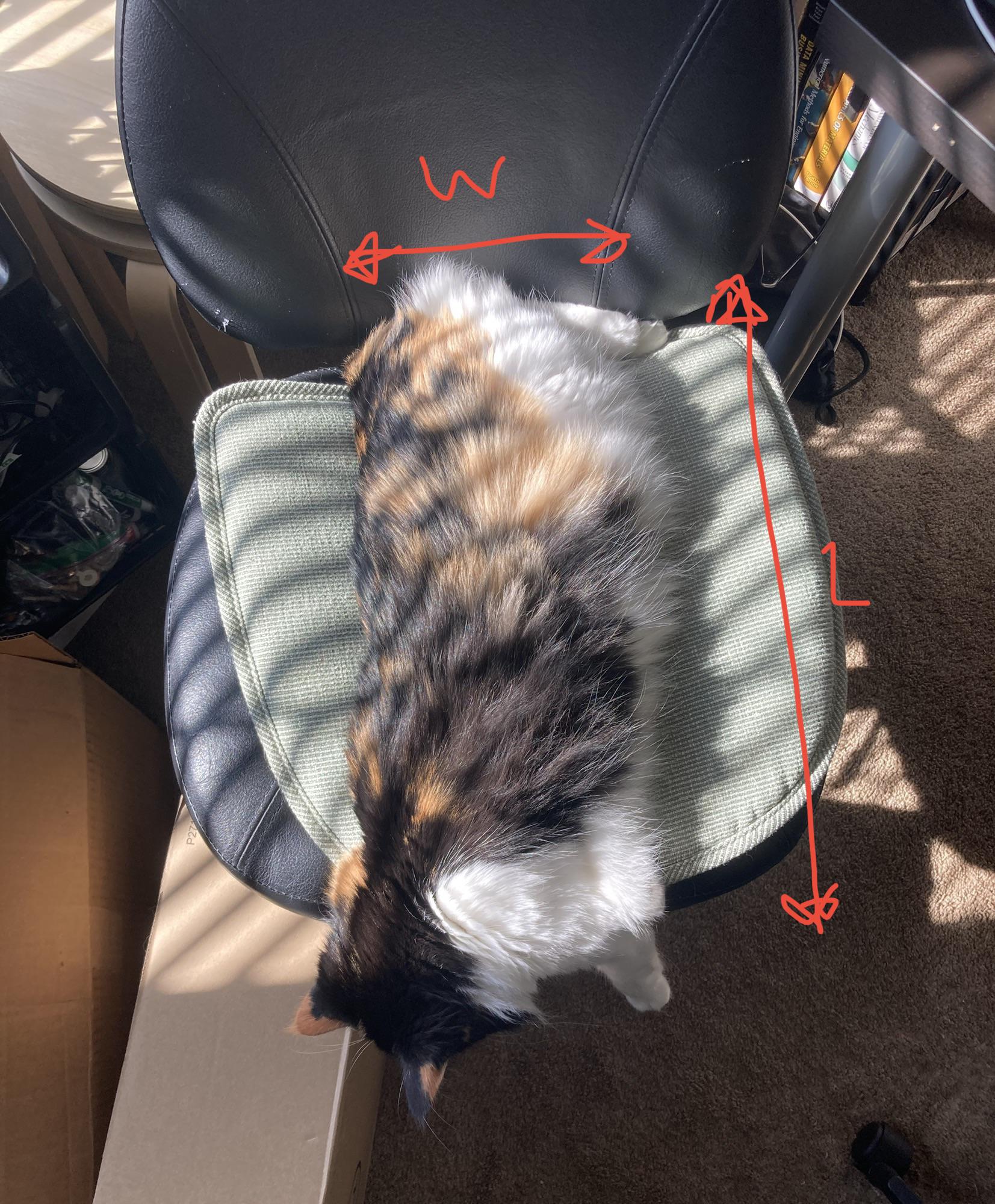 Solar panel mode for maximum absorption | Scrolller