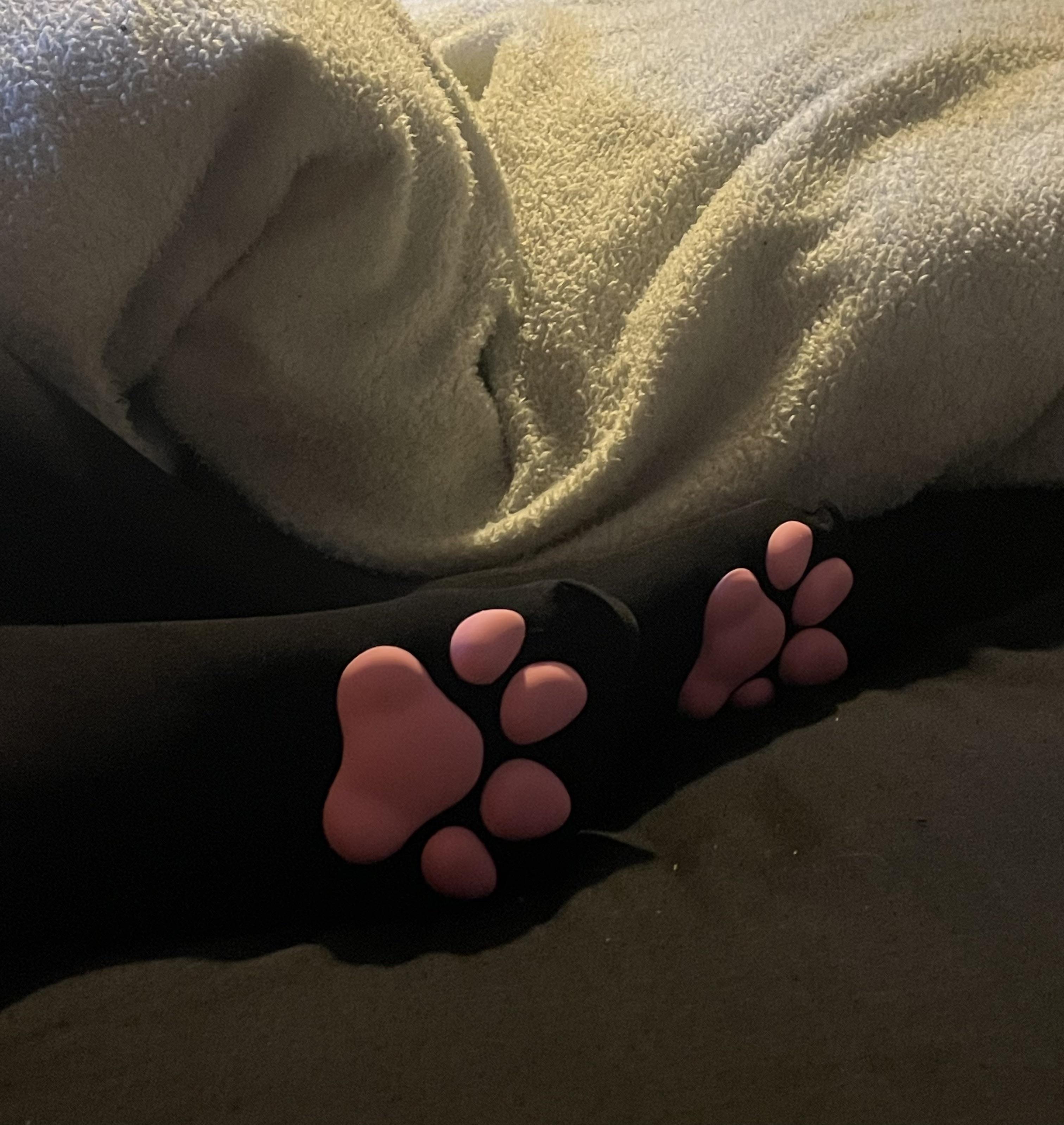 some femboy paws | Scrolller