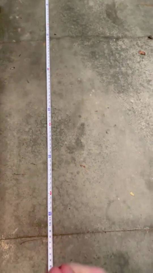 Someone asked how far my cannon goes...almost 7' | Scrolller