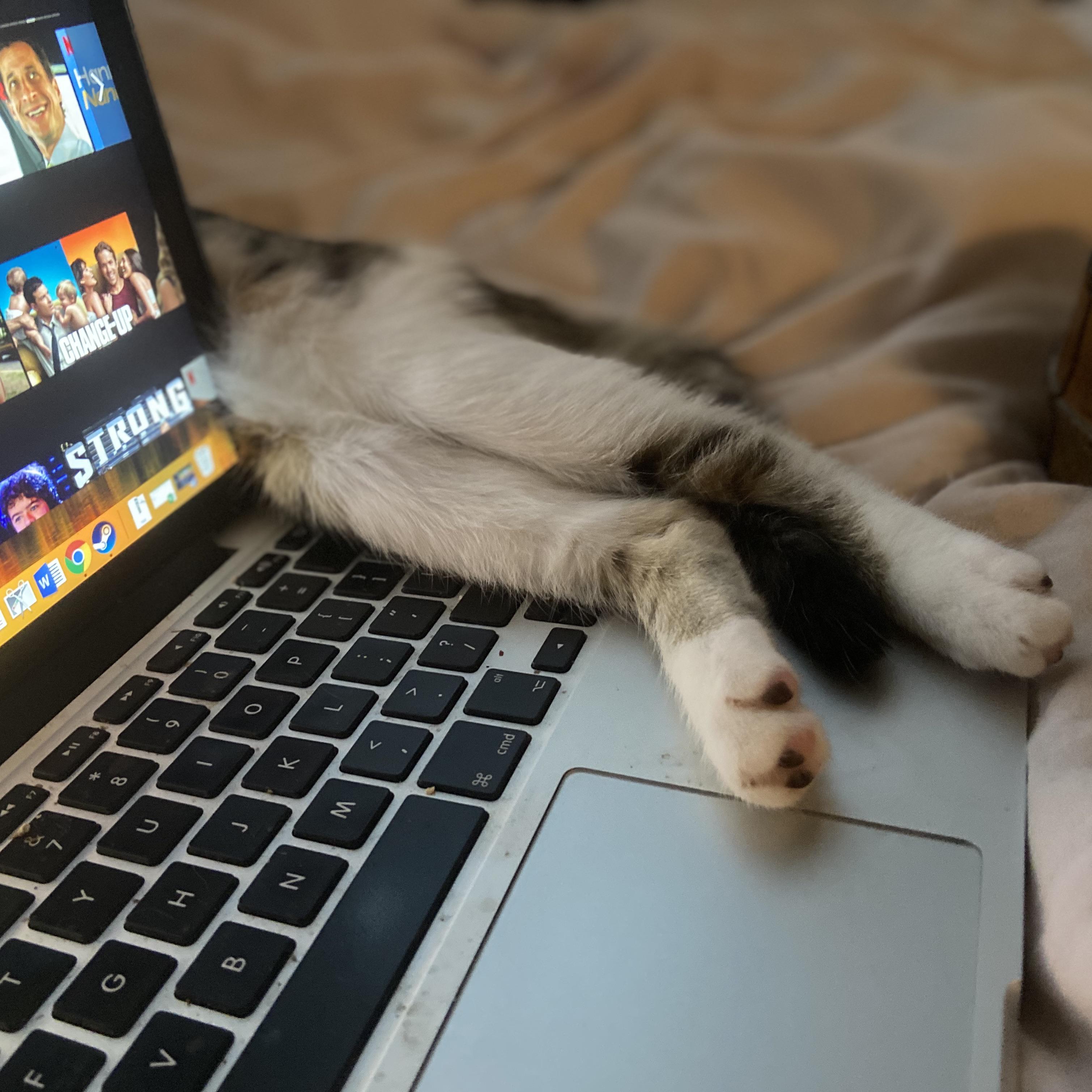 Someone left theses straightened feetsies here.. | Scrolller