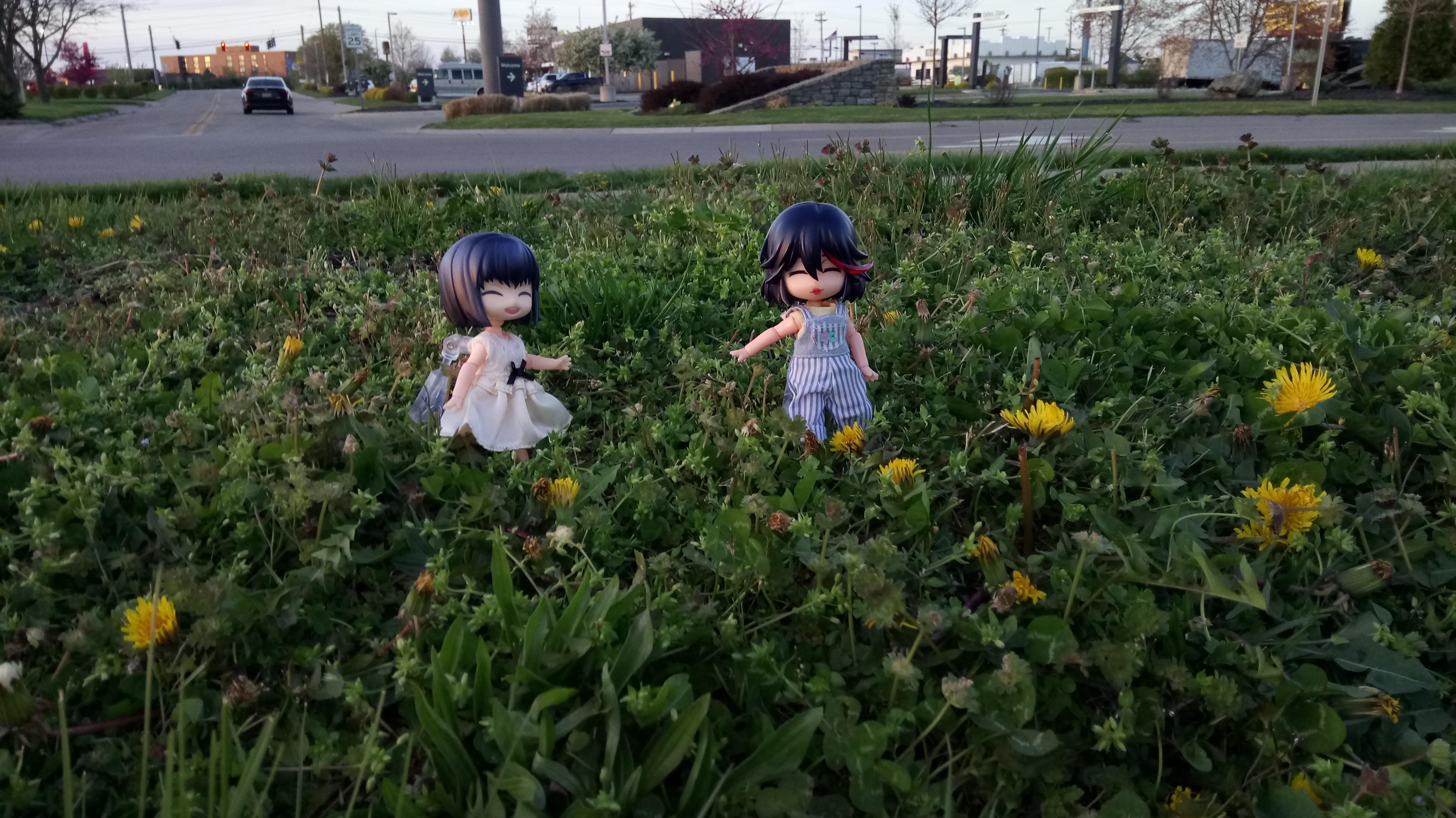 Something sweet | Scrolller