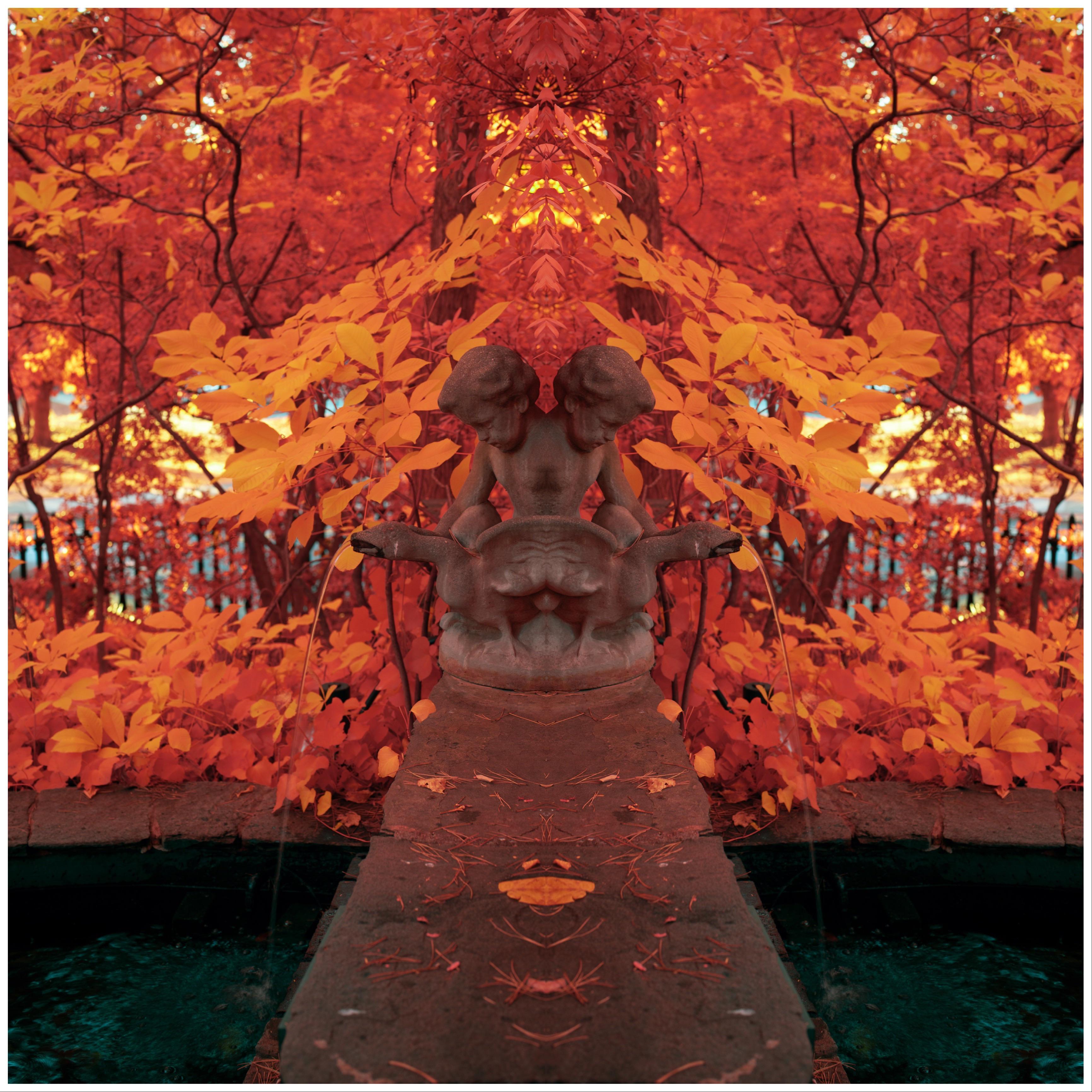 Sony a7ii + Kolarivision IR Chrome | Scrolller