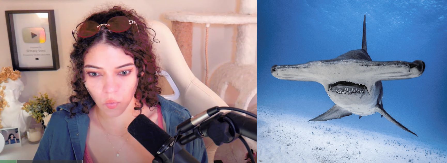 Spot the Difference! | Scrolller