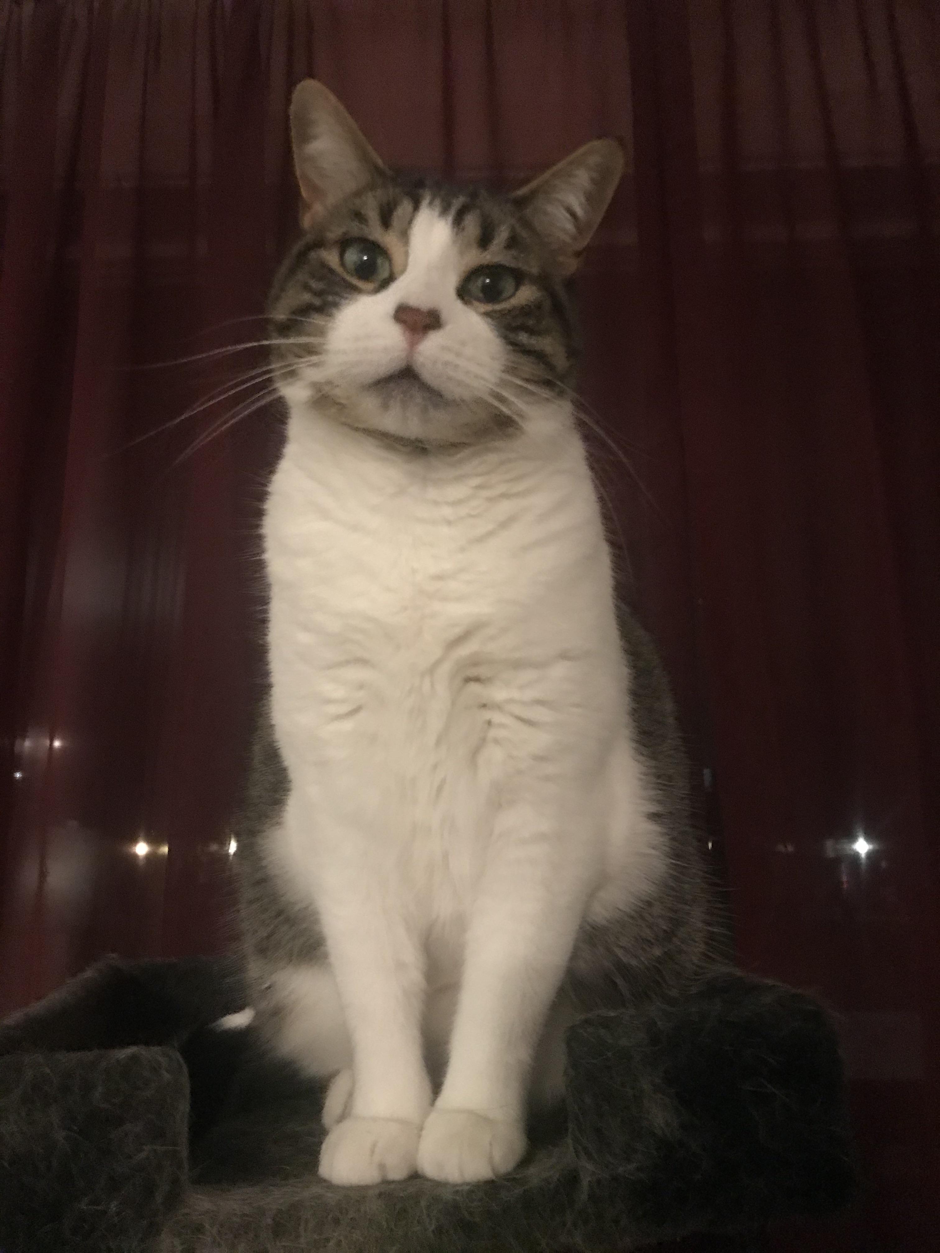 Squeak, queen of peanuts! | Scrolller