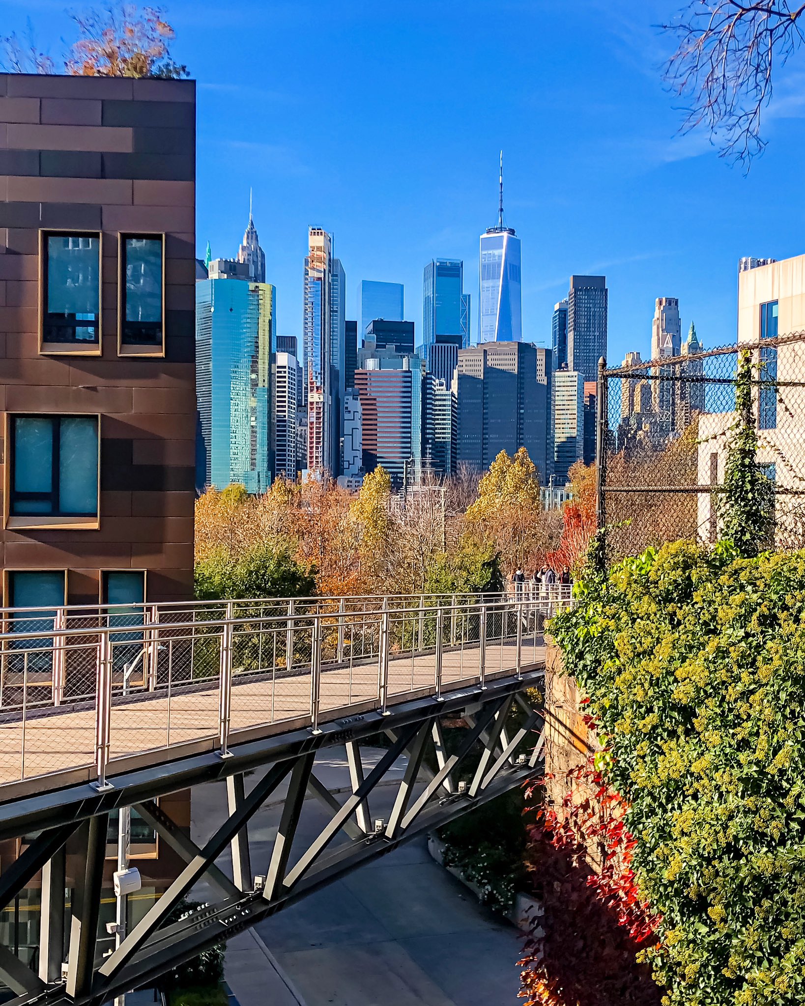 Squibb Park Bridge | Scrolller