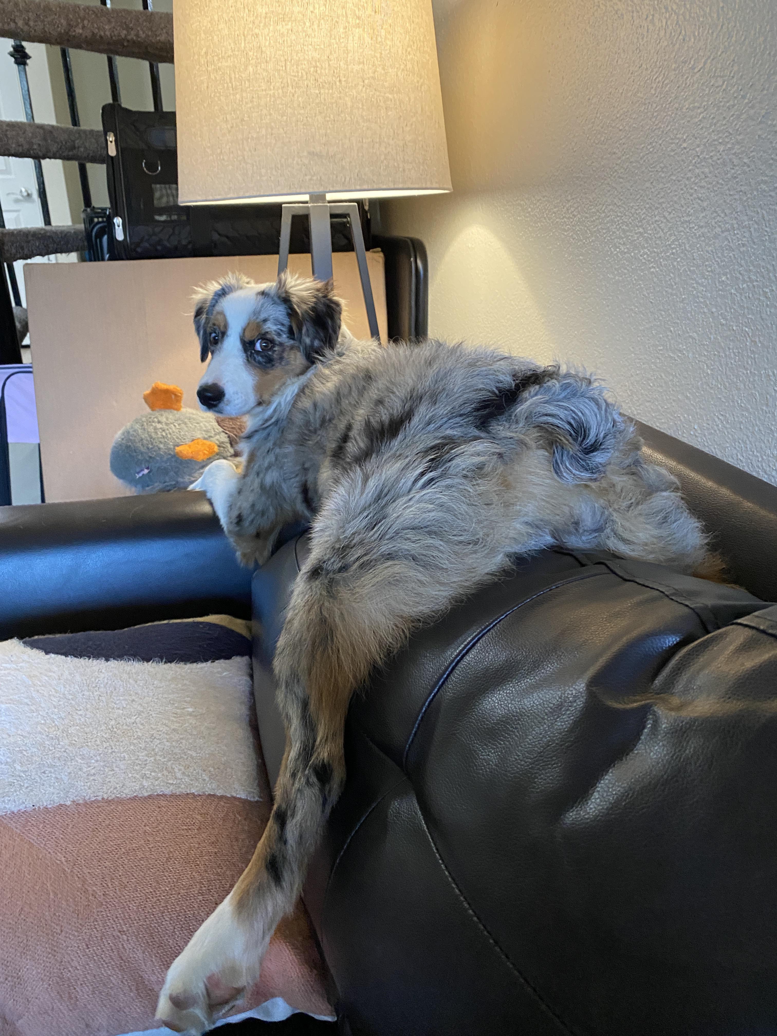 Starting an OnlyFans | Scrolller