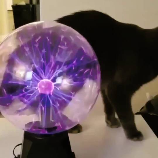 Static mlems | Scrolller