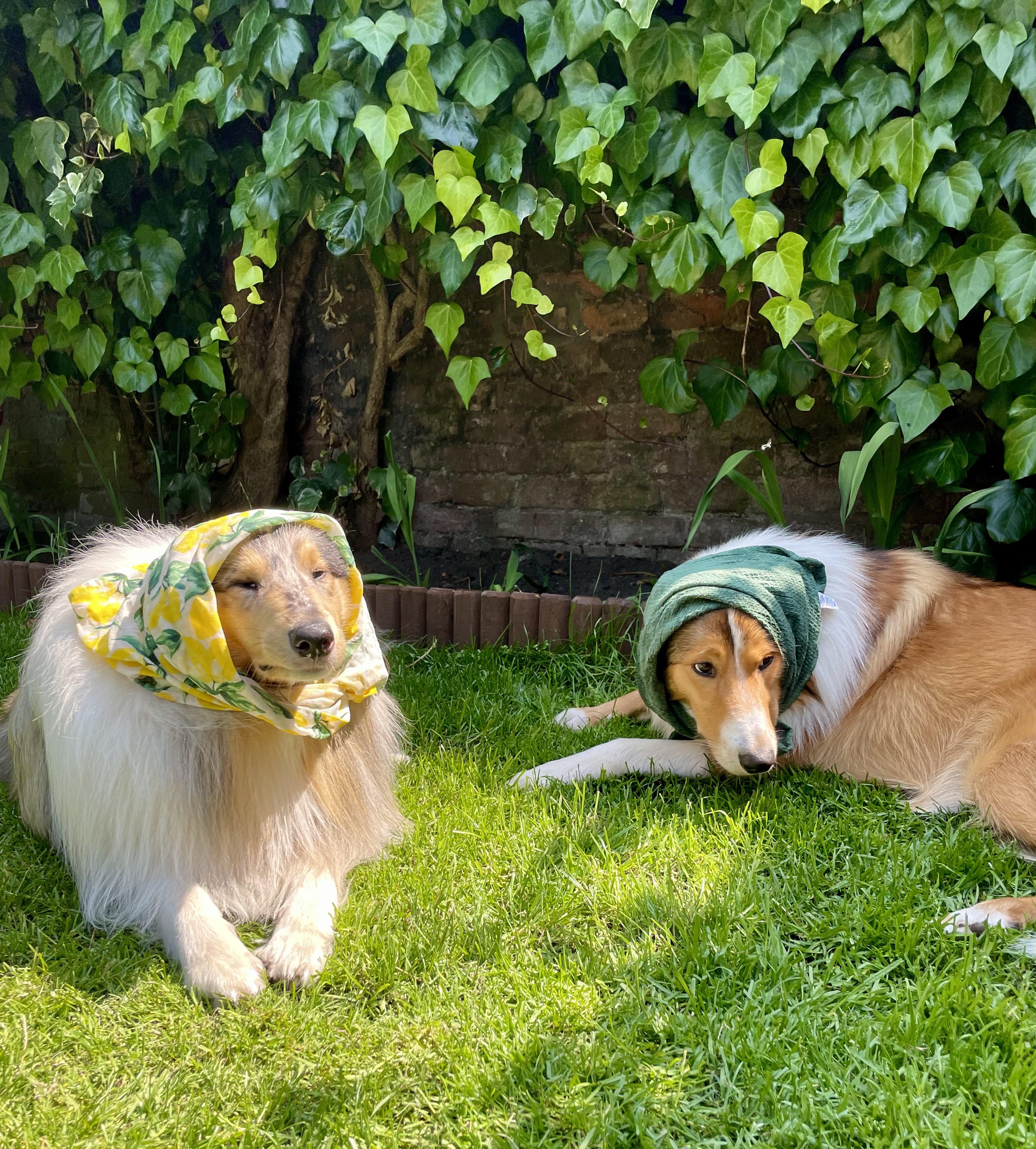 Staying cool and hydrated | Scrolller