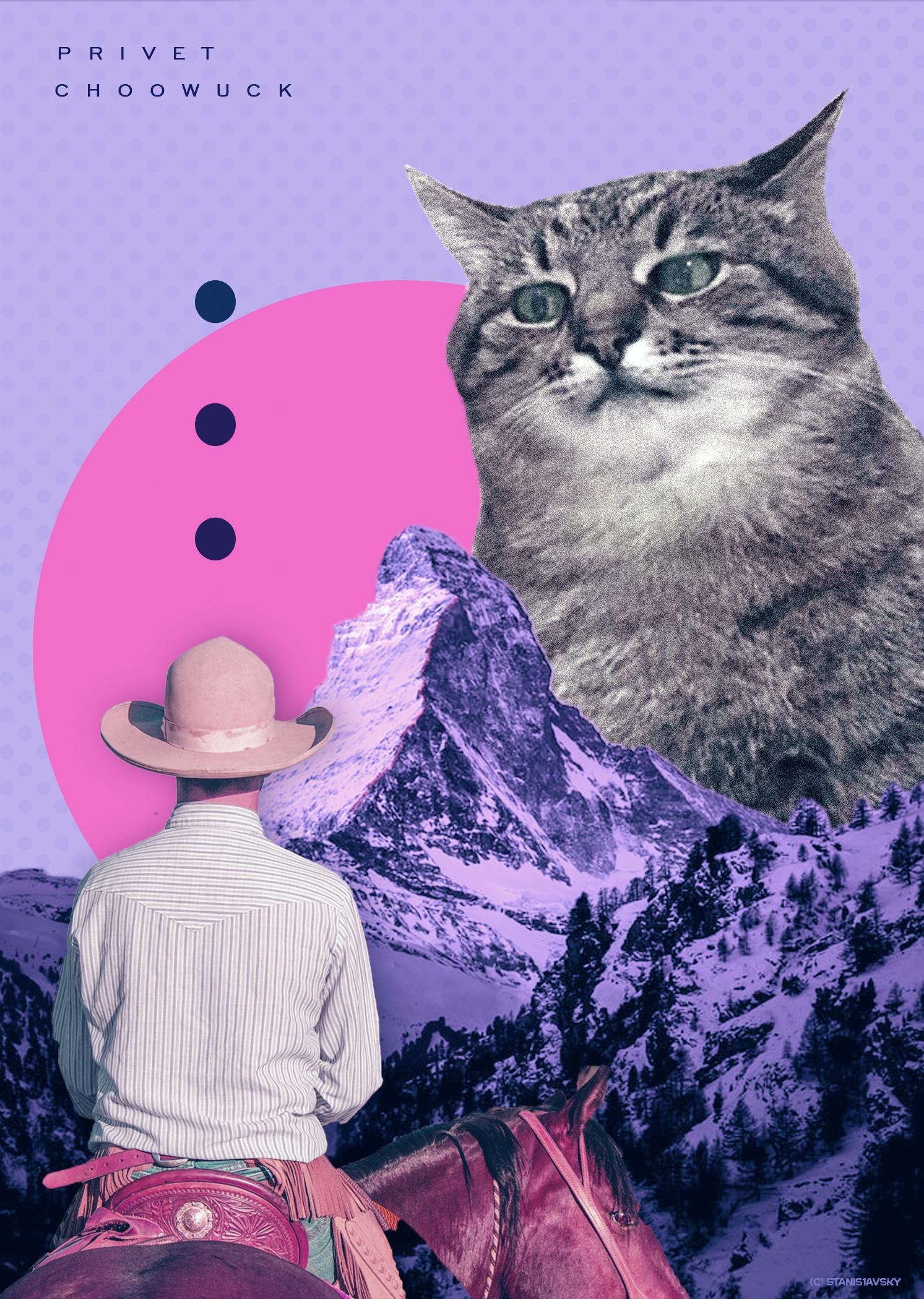 Stepan cat and a cowboy | Scrolller